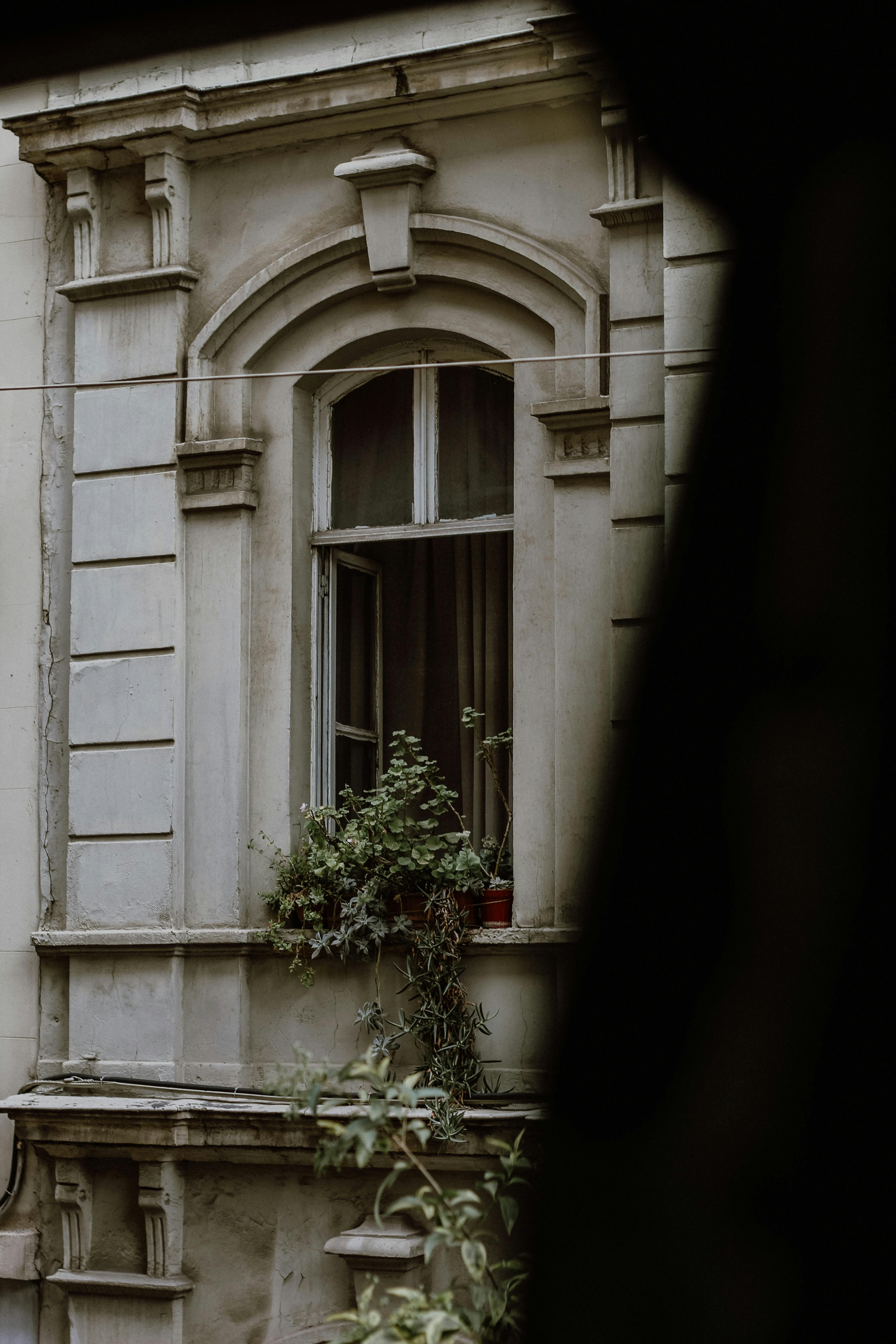 Green Potted Plants on the Glass Window of a House · Free Stock Photo