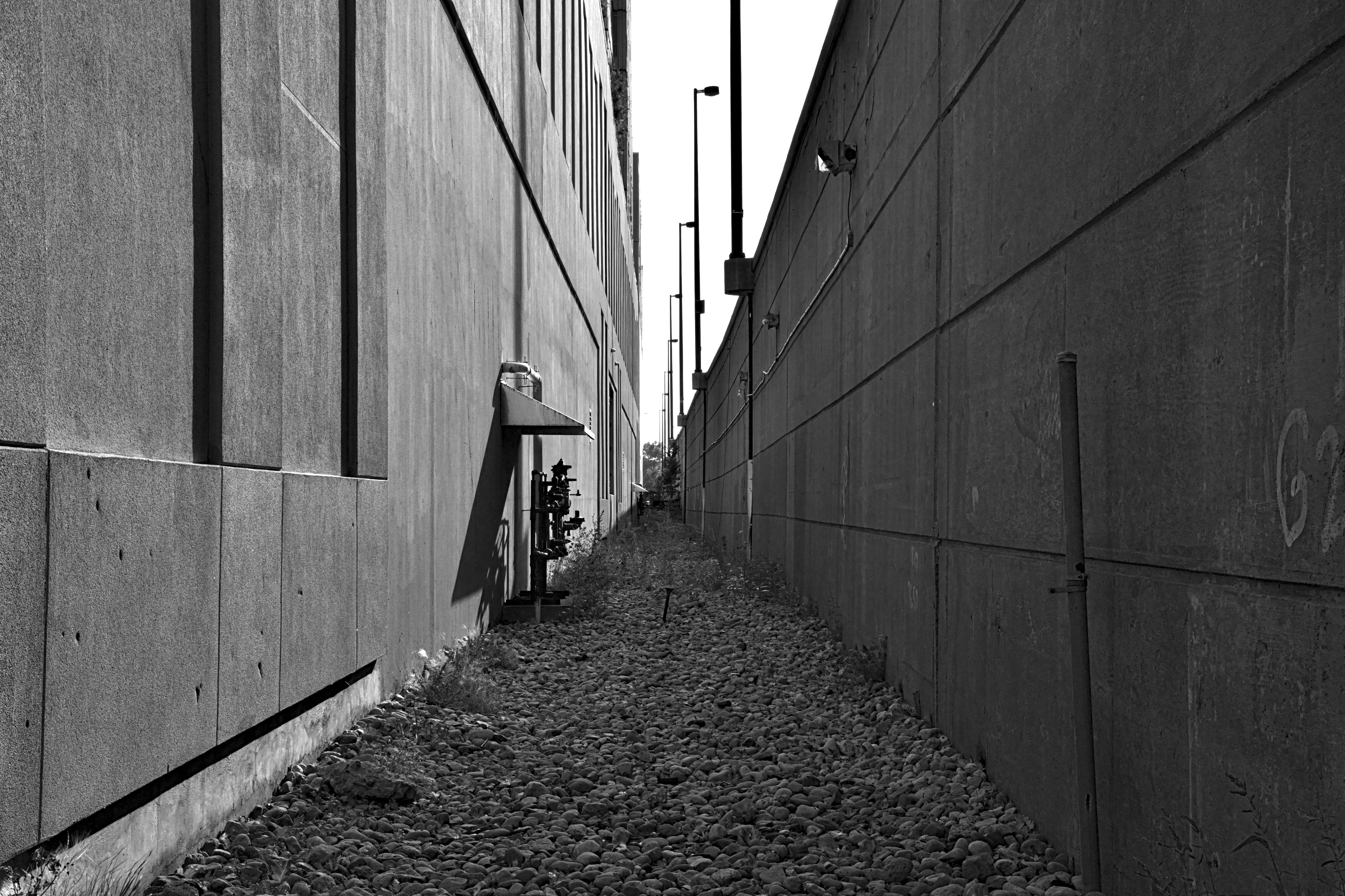 Grayscale Photography of Rocks on Long Alleyway · Free Stock Photo