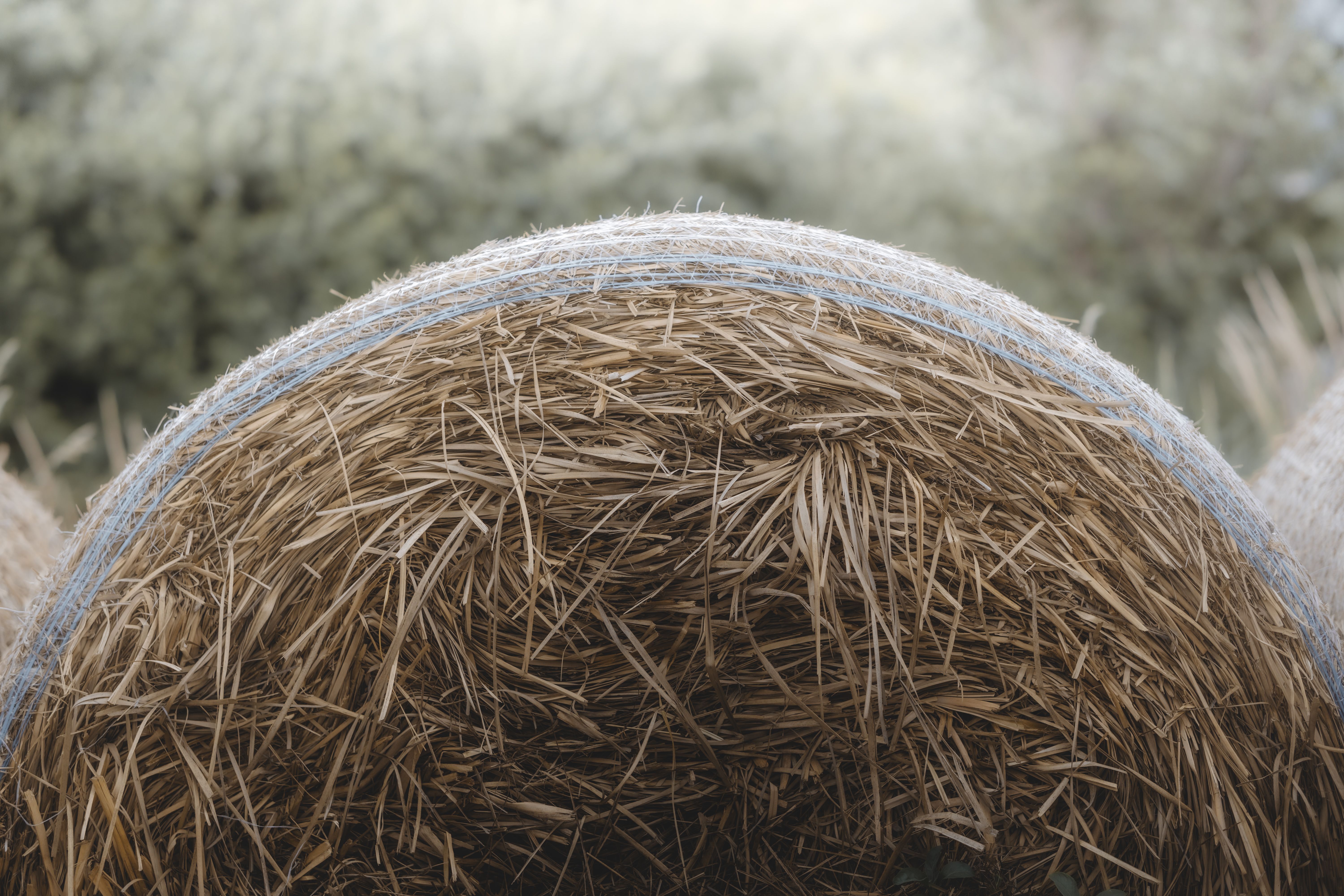Close-up of Hay Bale in Field · Free Stock Photo