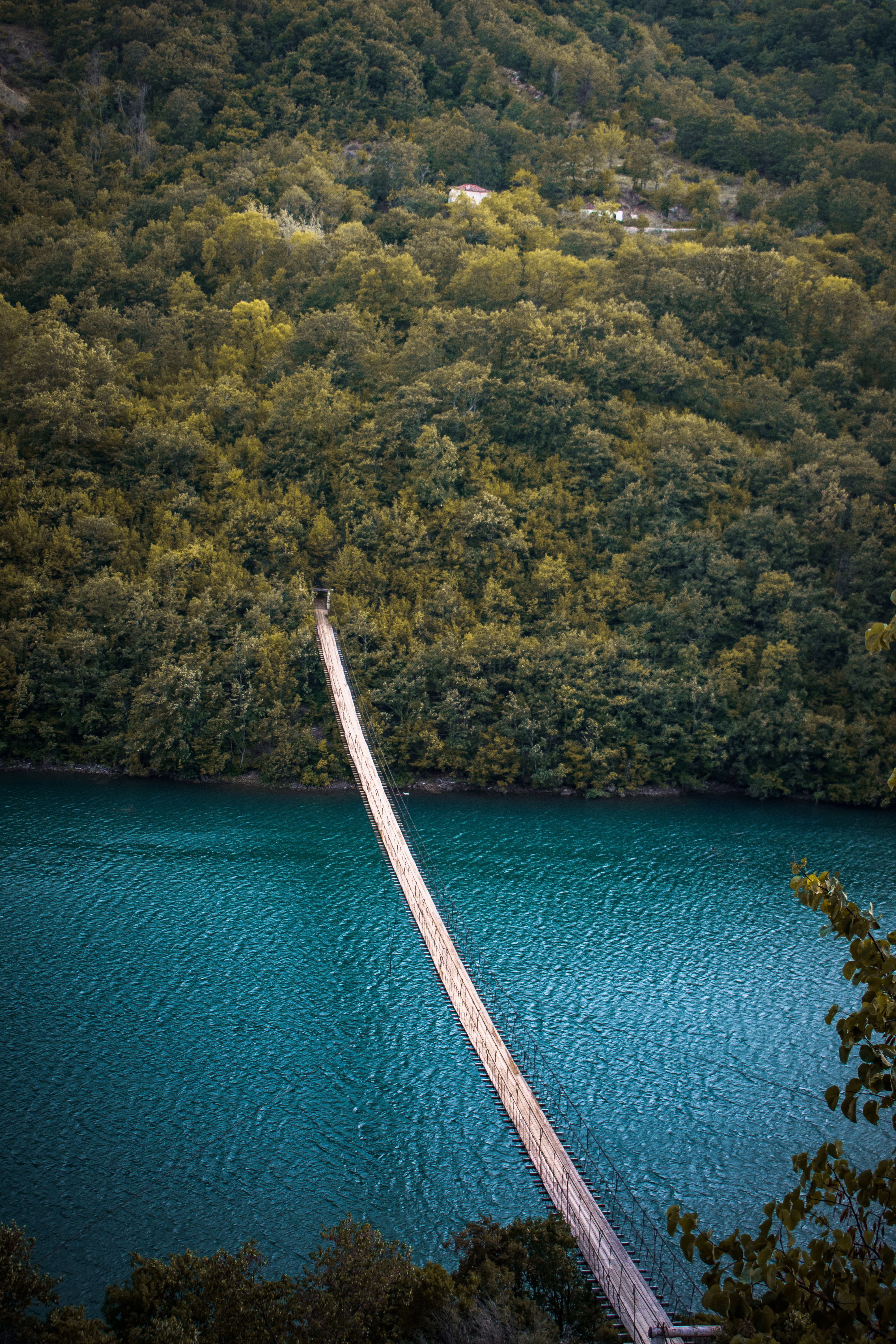 Hanging Bridge Over the River · Free Stock Photo