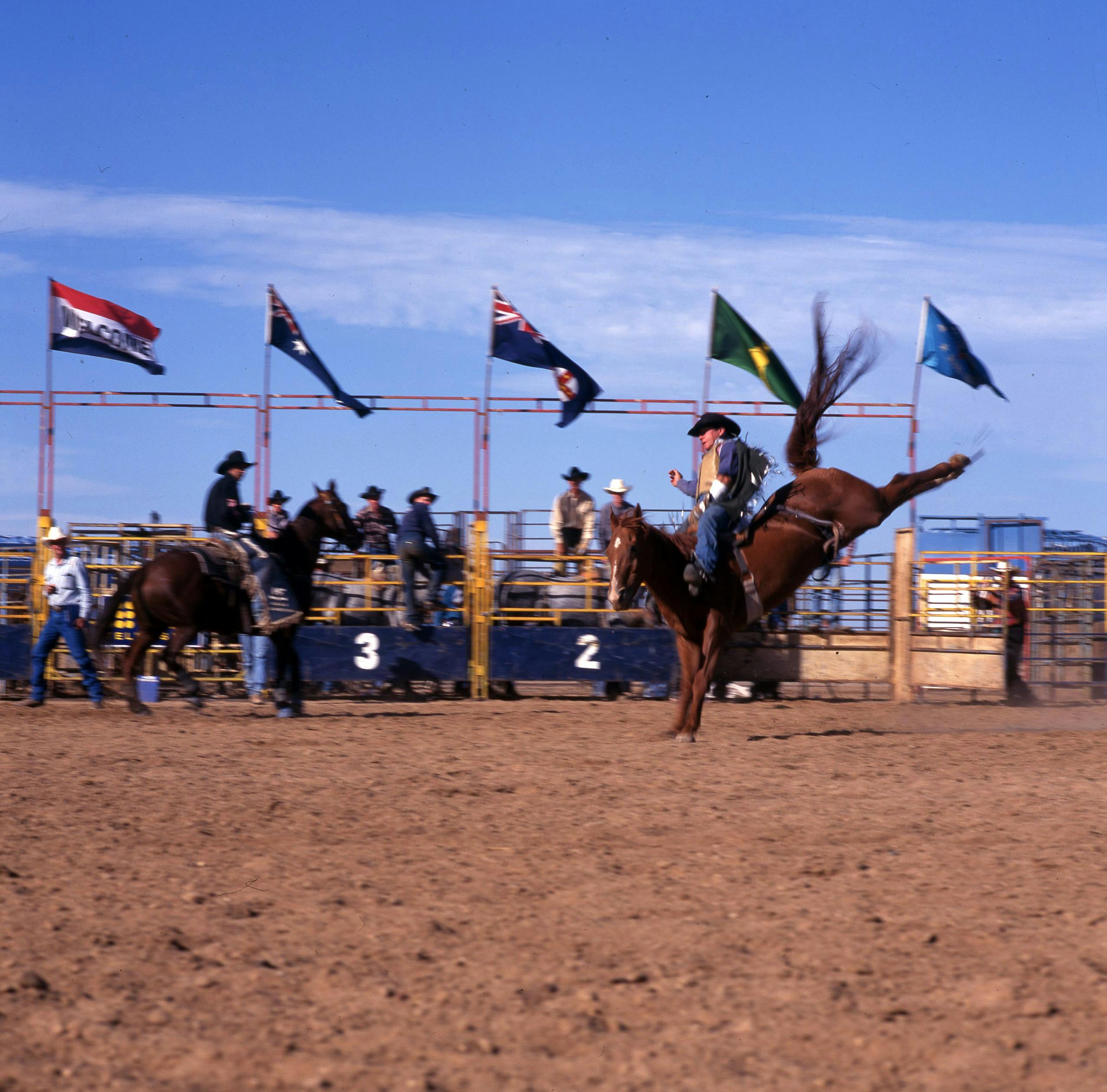 Free stock photo of buck, horseback riding, horseman