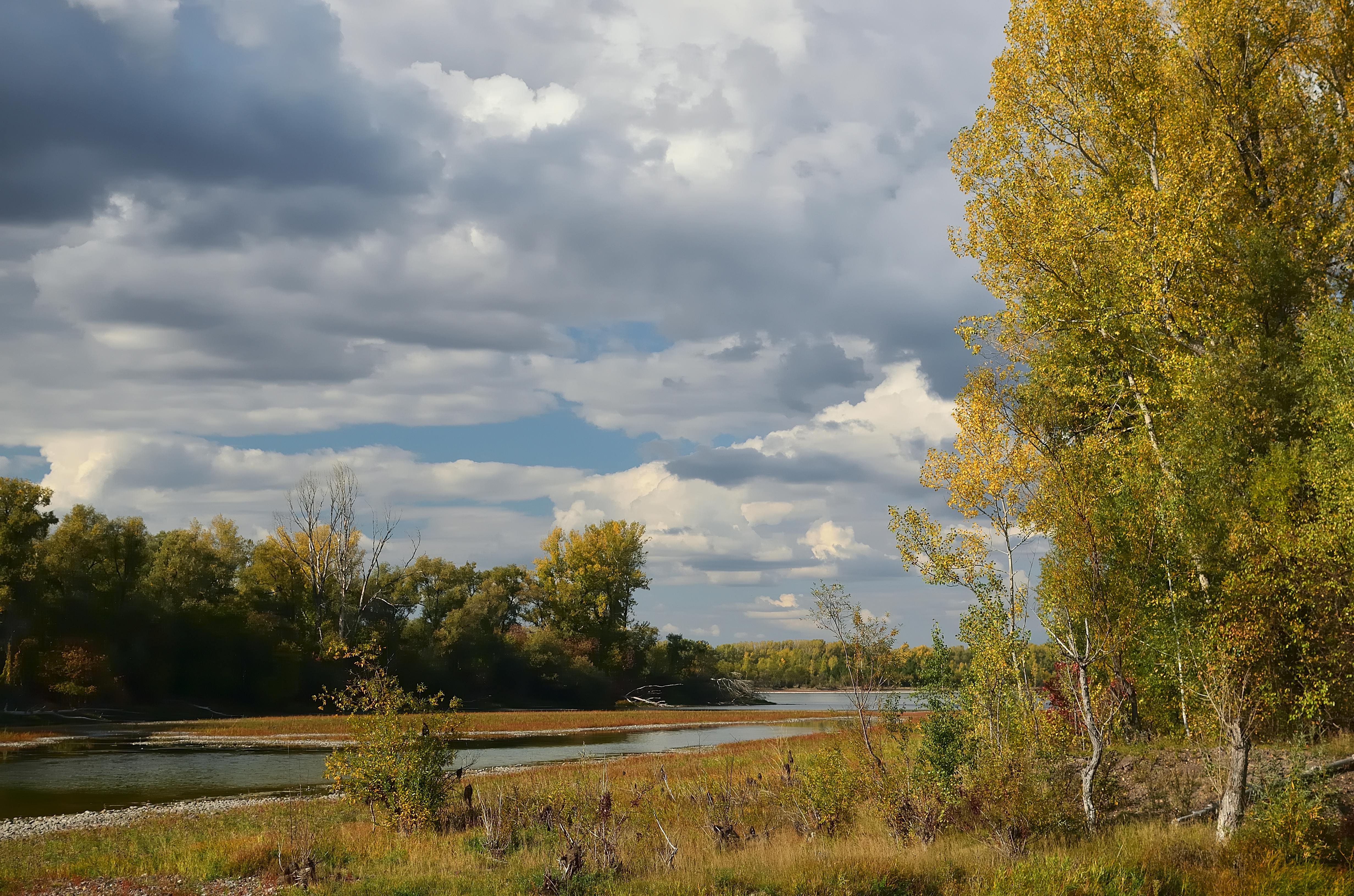 Green Landscape Under a Cloudy Sky · Free Stock Photo