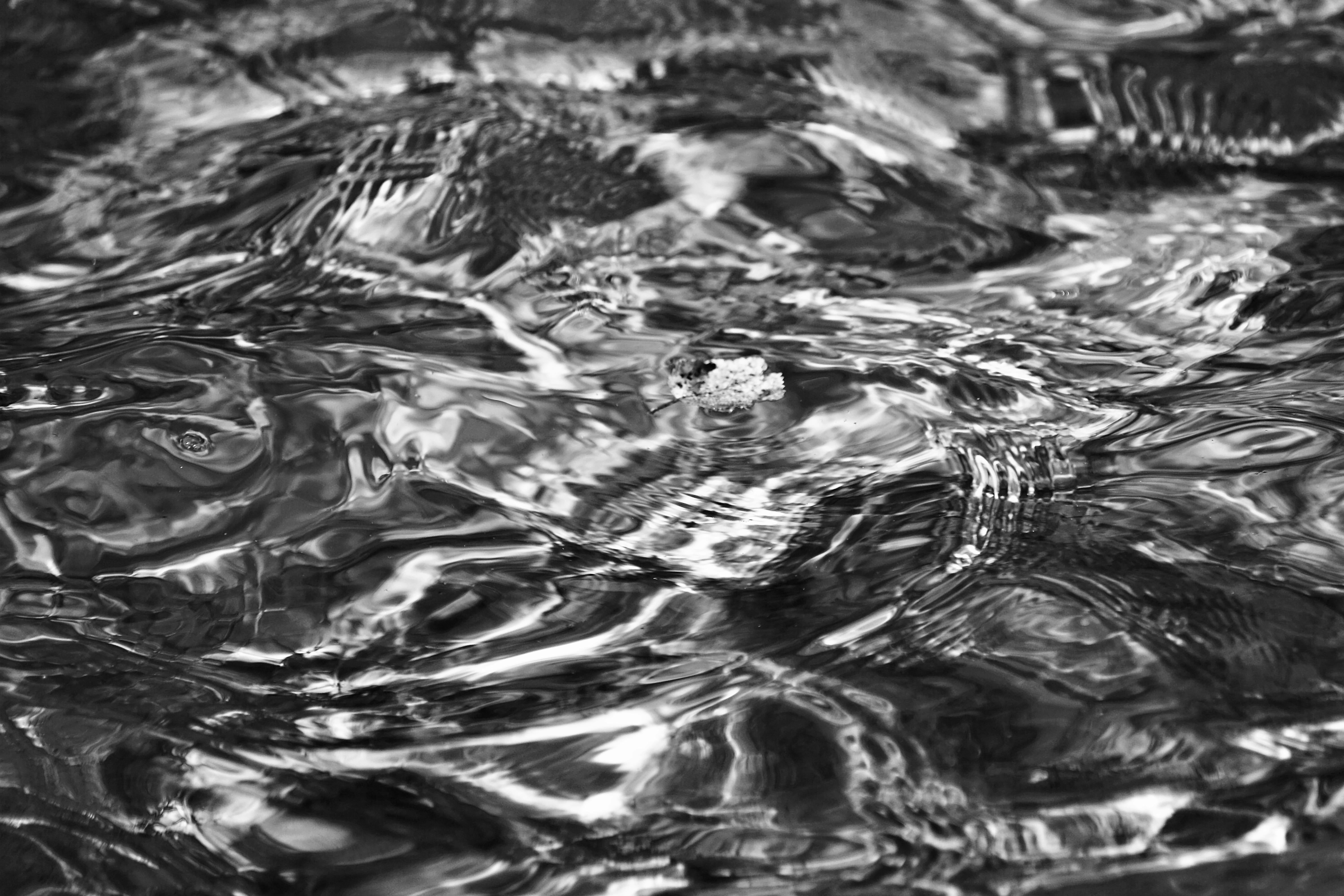 Dark Water Surface · Free Stock Photo