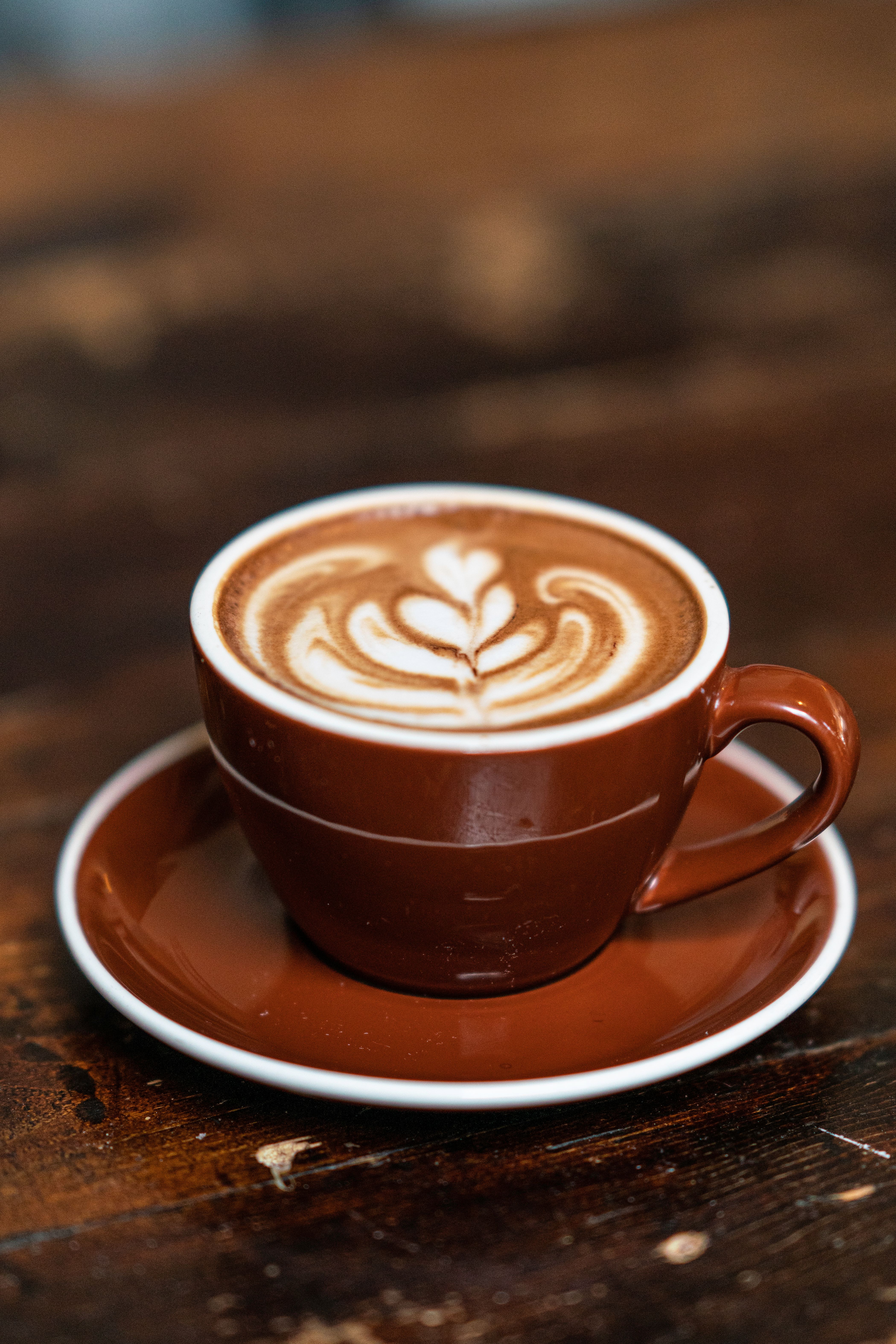 A Cup of Coffee · Free Stock Photo