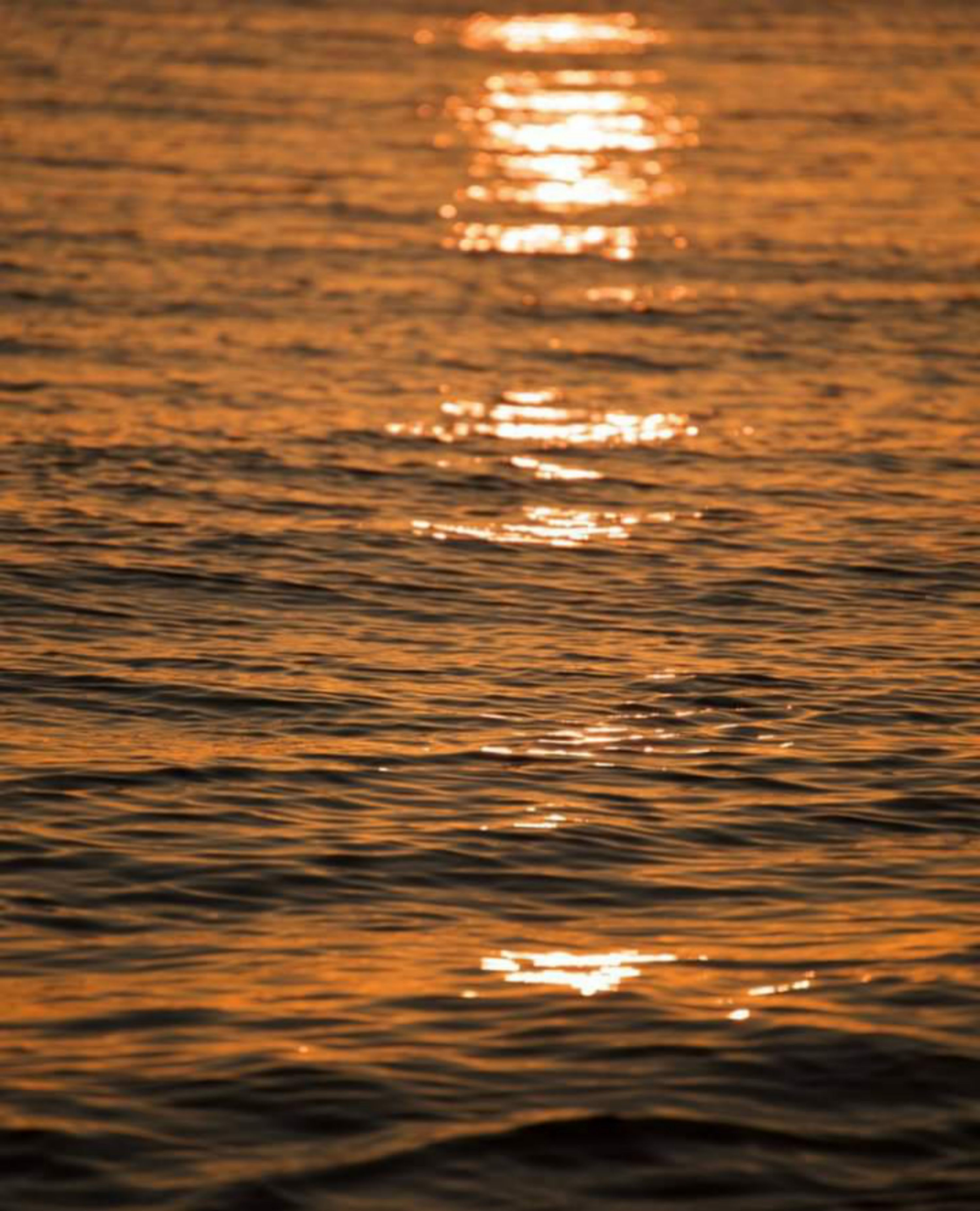 Body of Water with Sunlight Reflection · Free Stock Photo