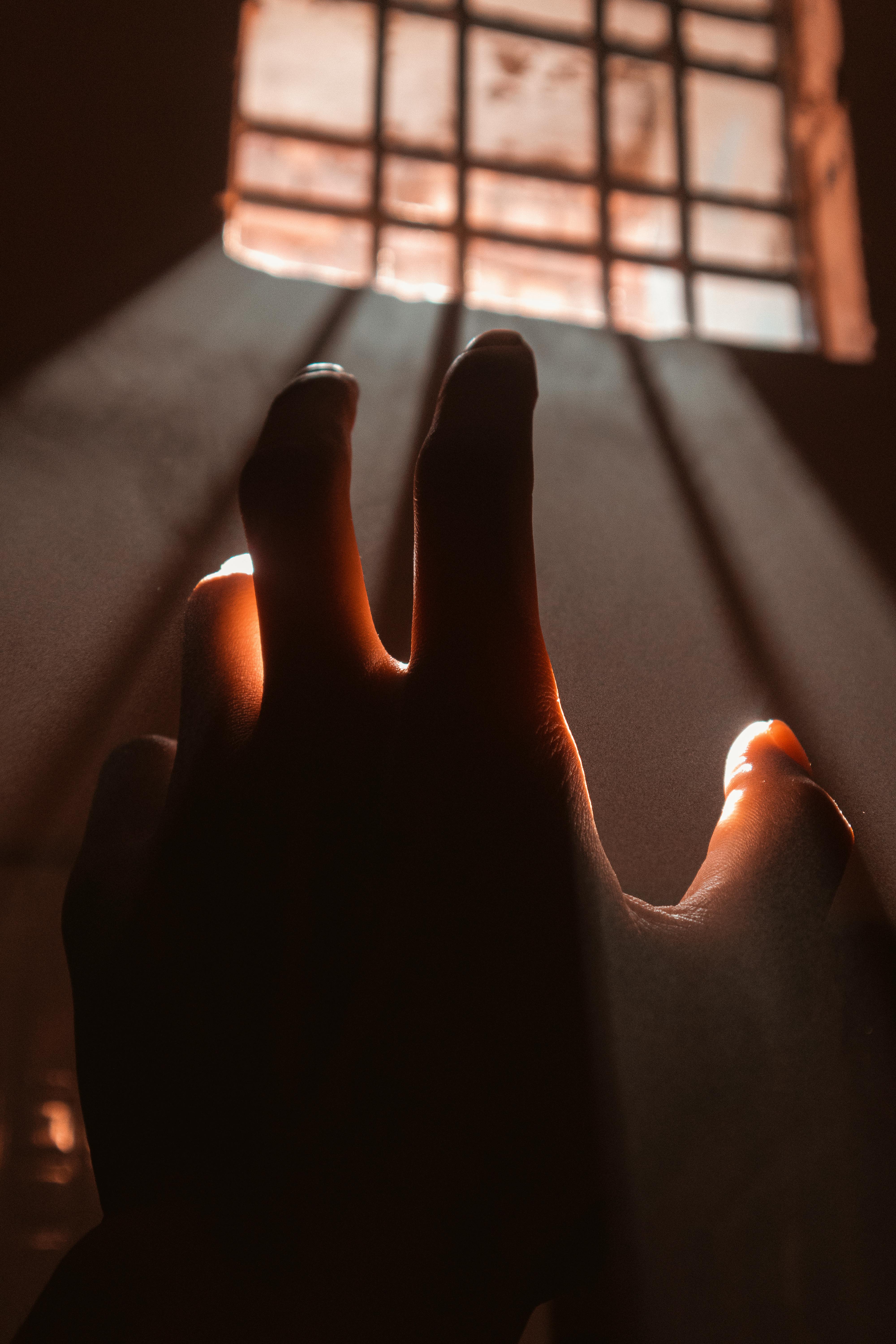 Close Up Shot of a Human Hand · Free Stock Photo