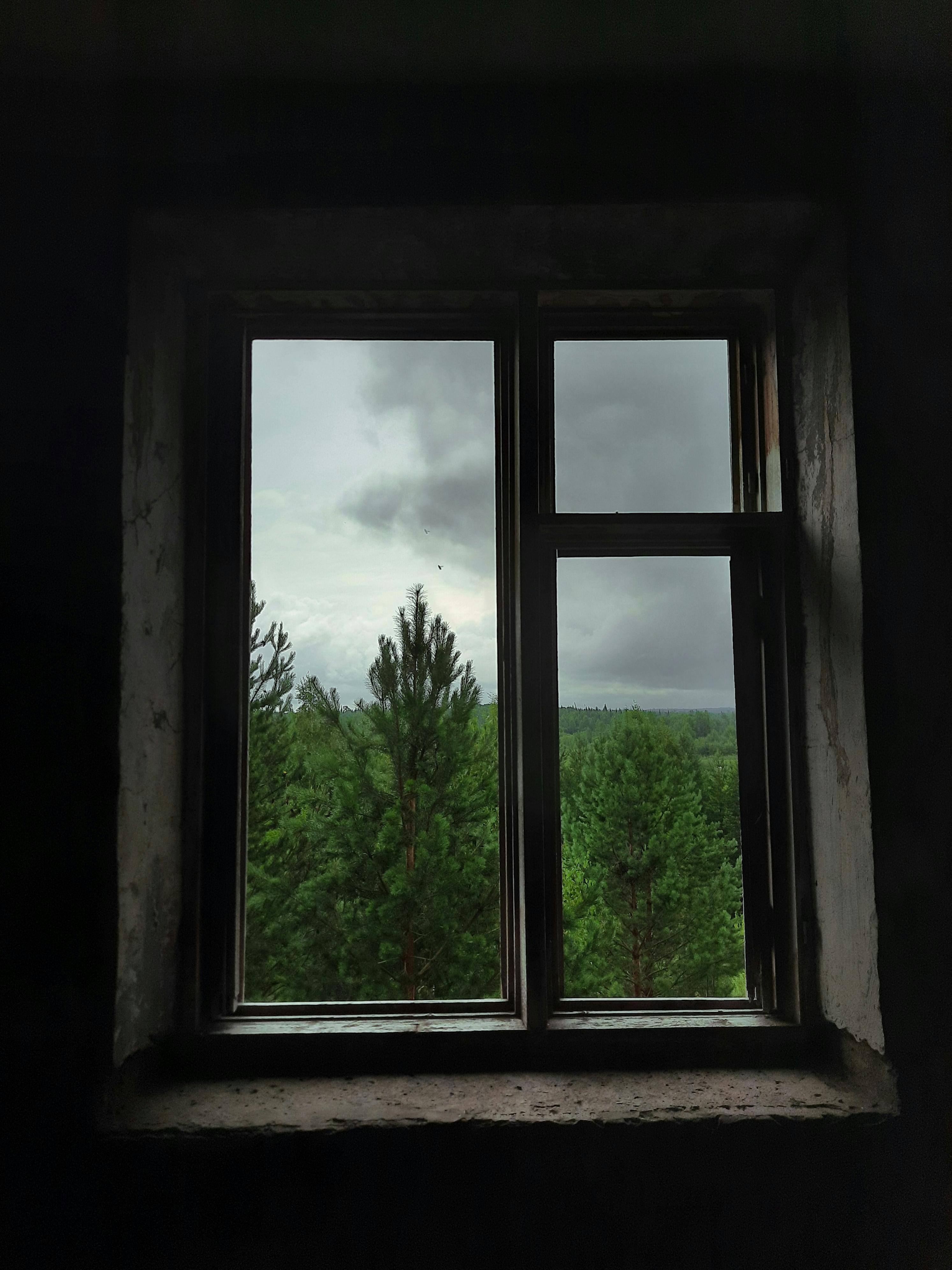 Window View Of Trees Photos, Download The BEST Free Window View Of ...