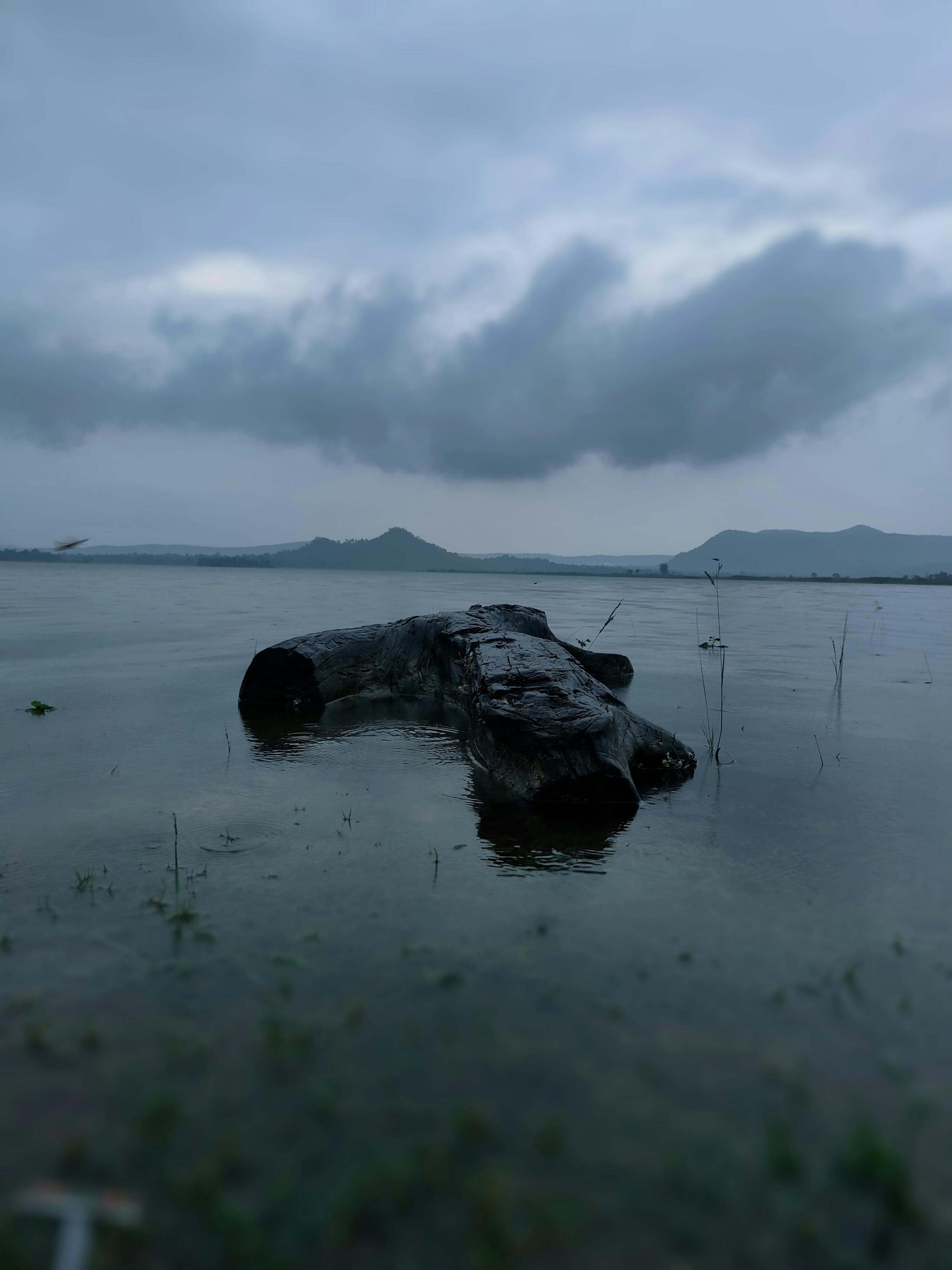 Nick Rtr - Photography