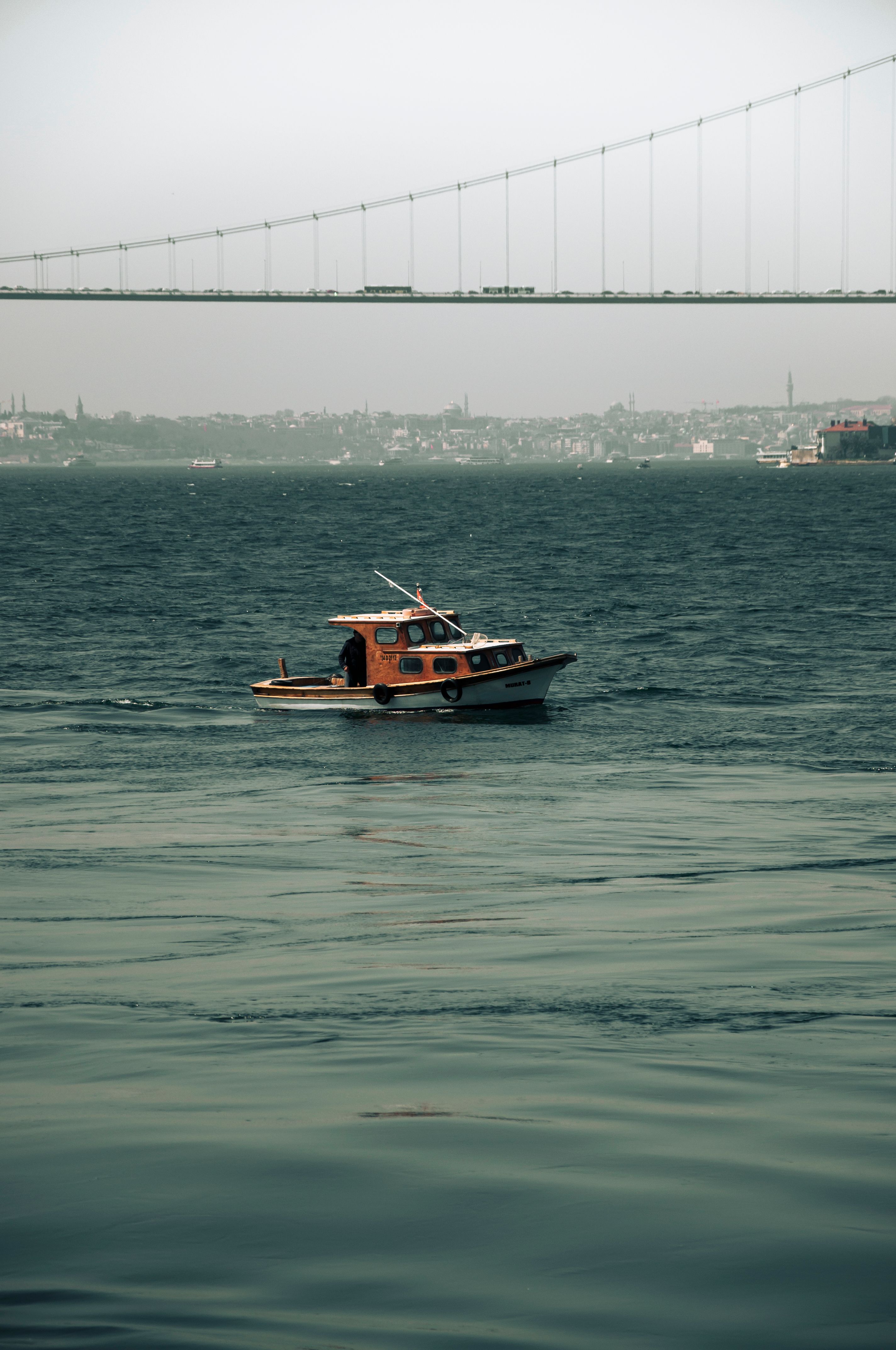 Boat Cruising in the Sea · Free Stock Photo