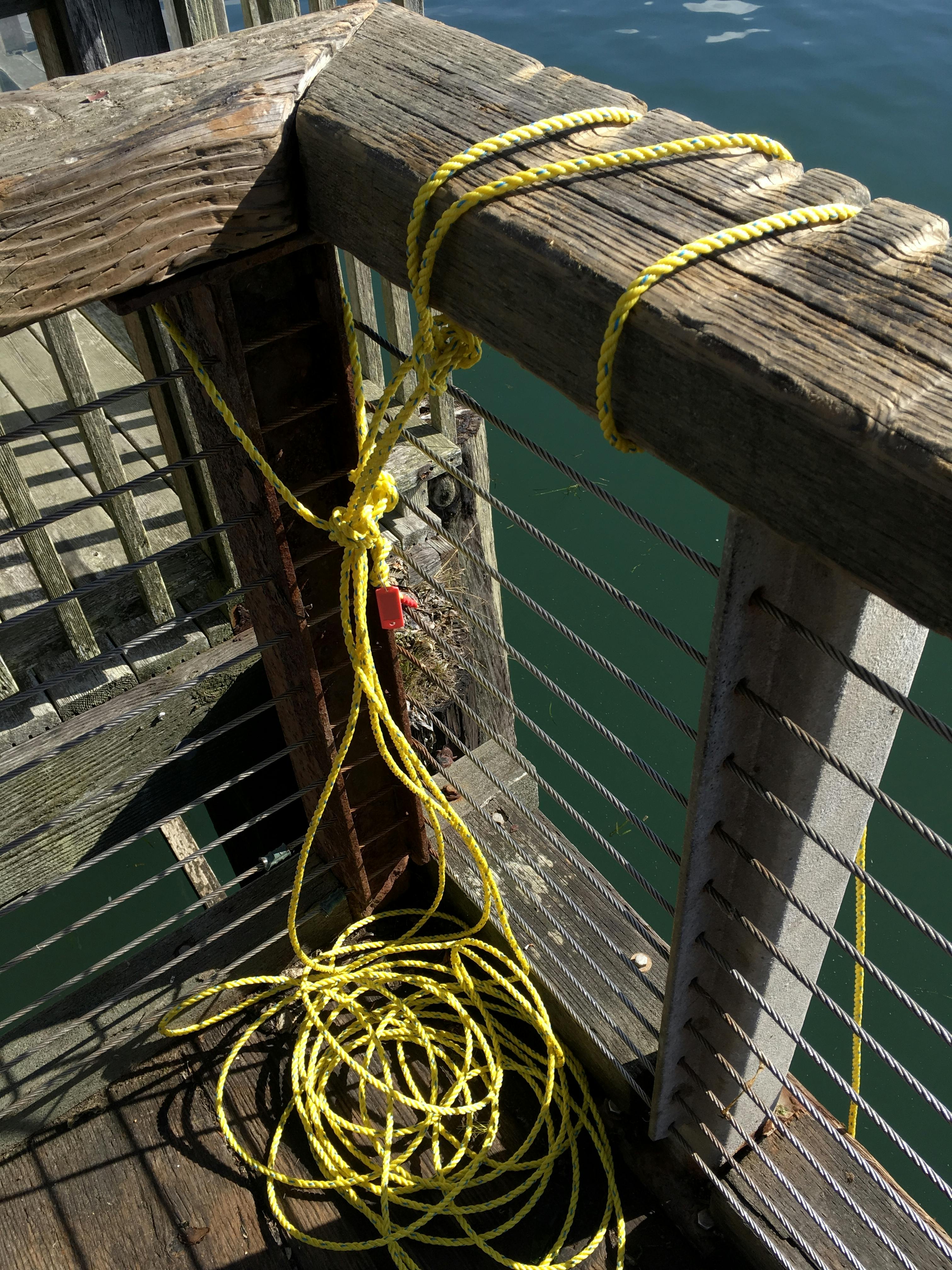 Tight Rope Photos, Download The BEST Free Tight Rope Stock Photos & HD ...