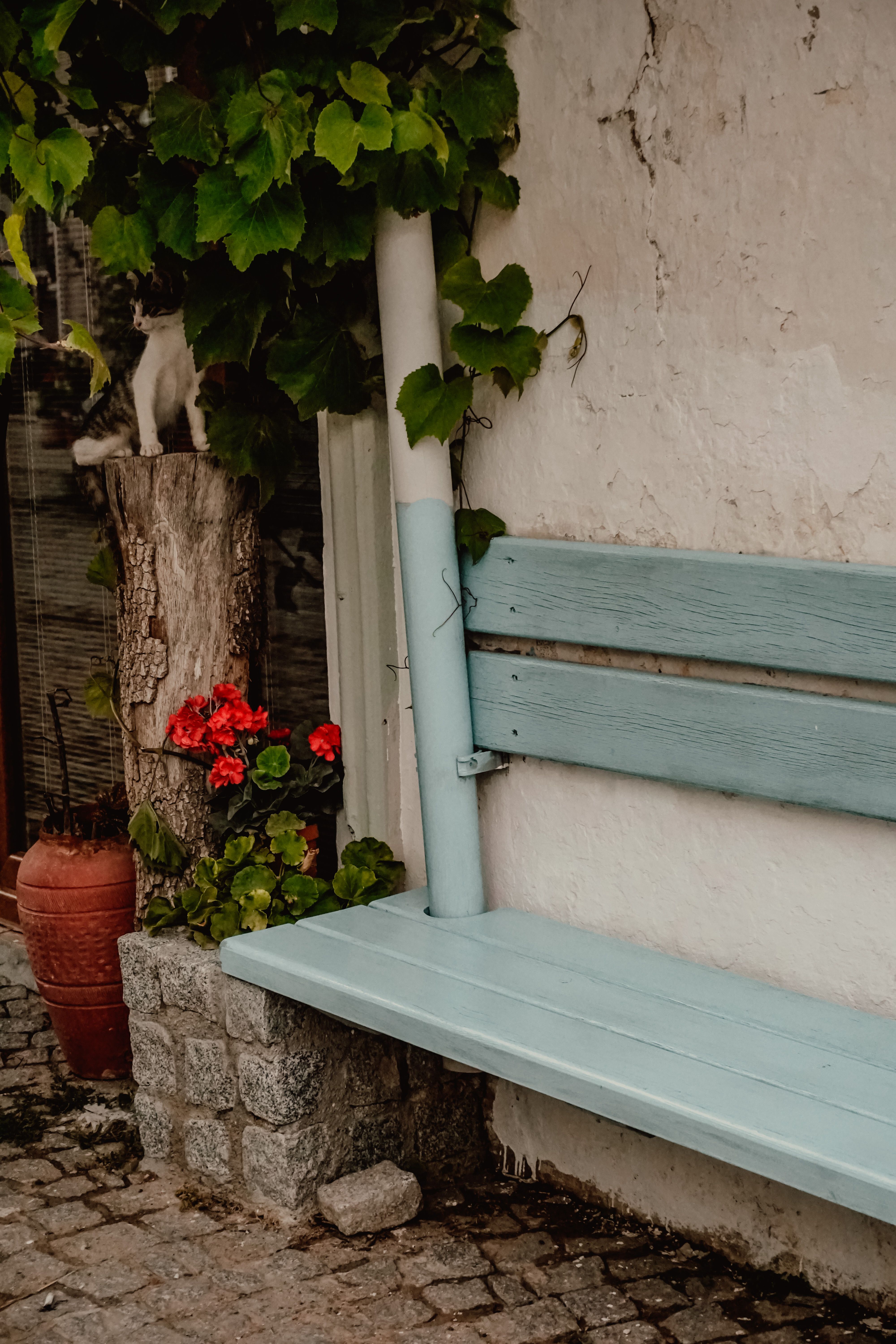 Empty Wooden Bench · Free Stock Photo