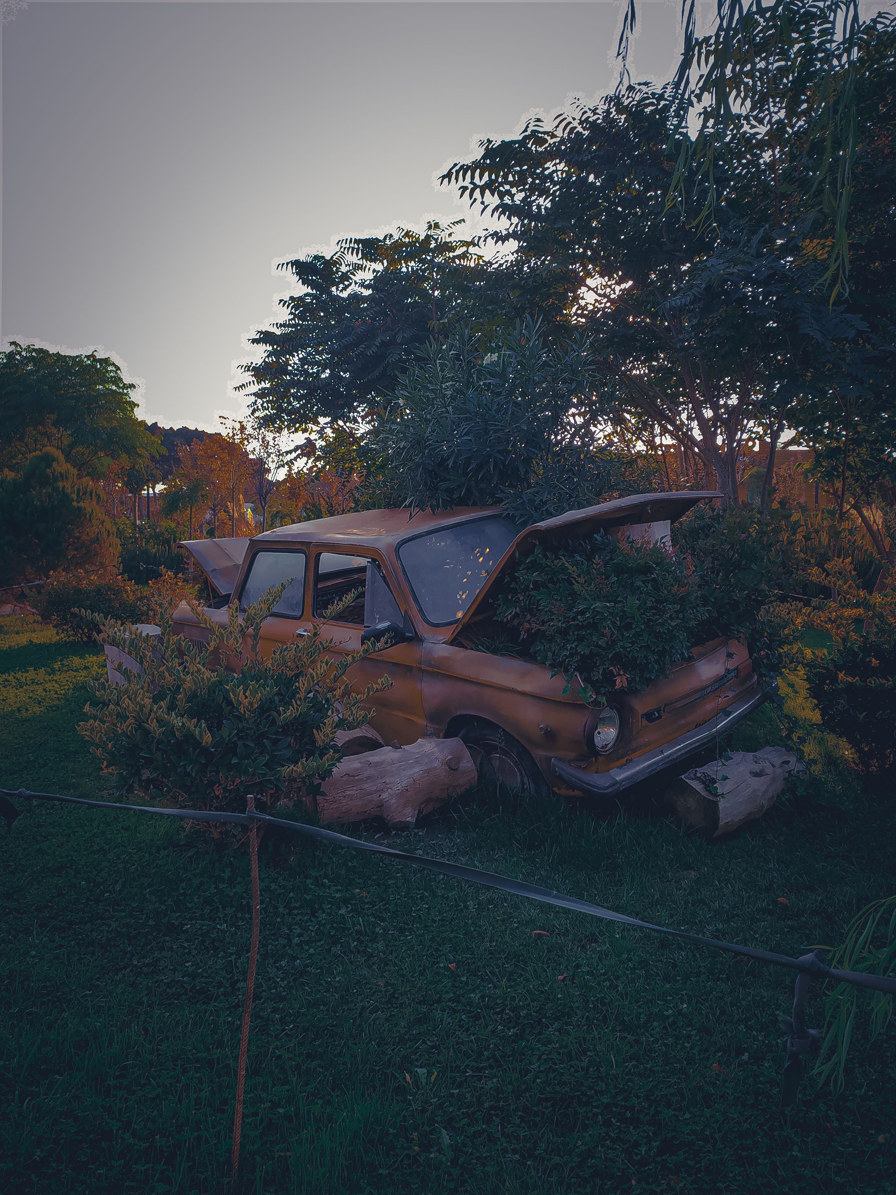 Old Abandoned Rusty Car near Green Shrub · Free Stock Photo