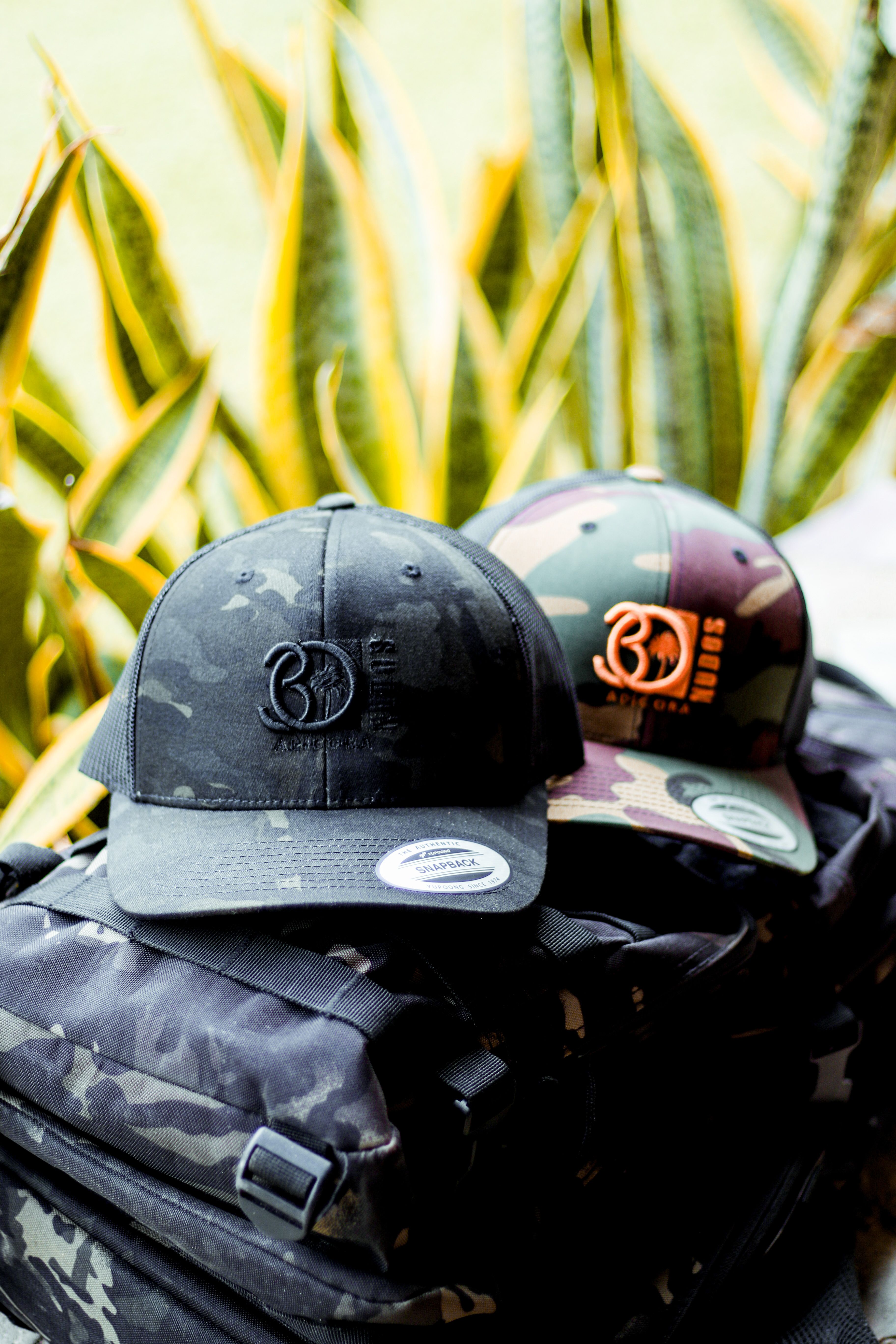 Gray and Black La Embroidered Fitted Cap · Free Stock Photo