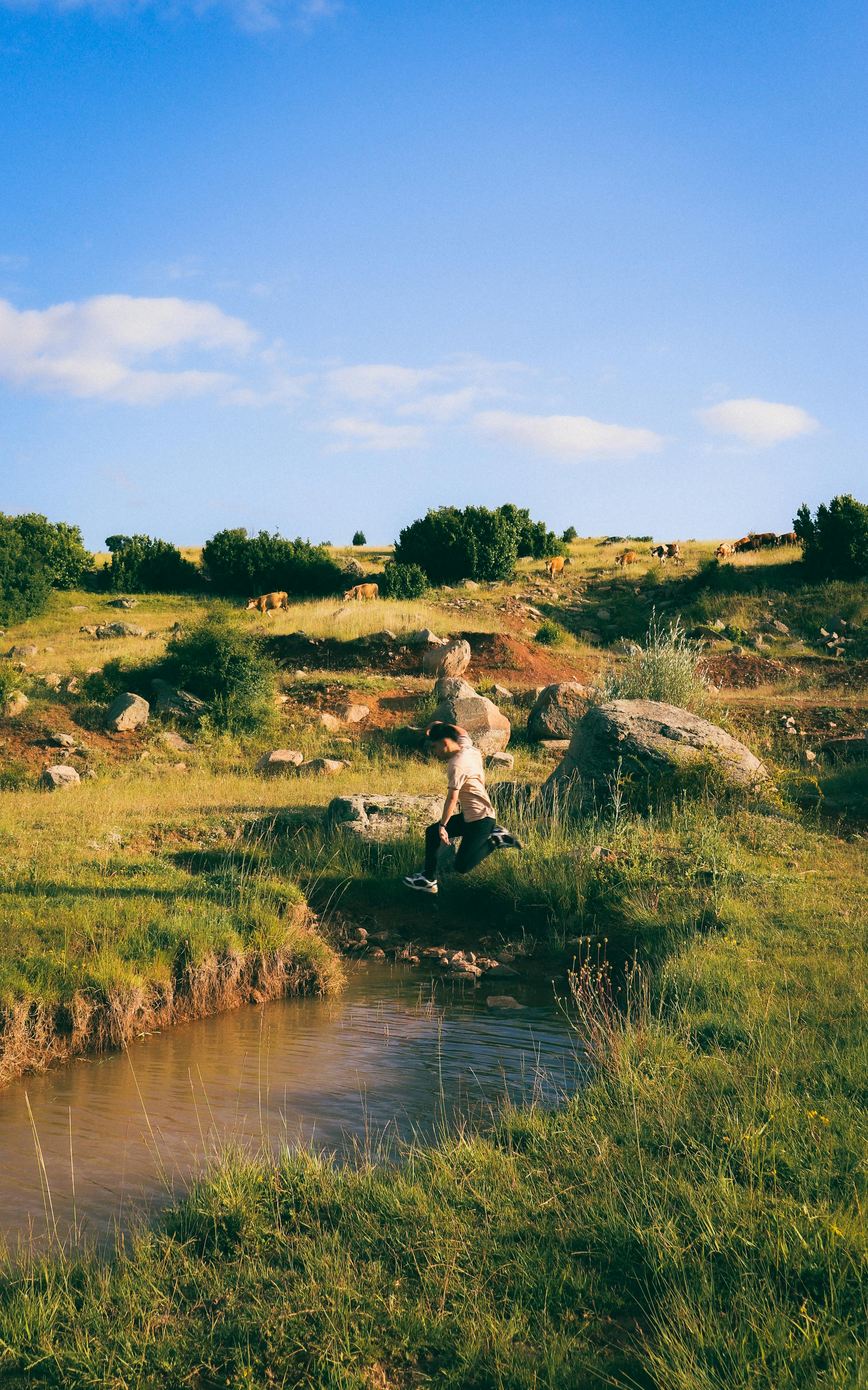 Gymnast Mid-jump on the Riverbank · Free Stock Photo
