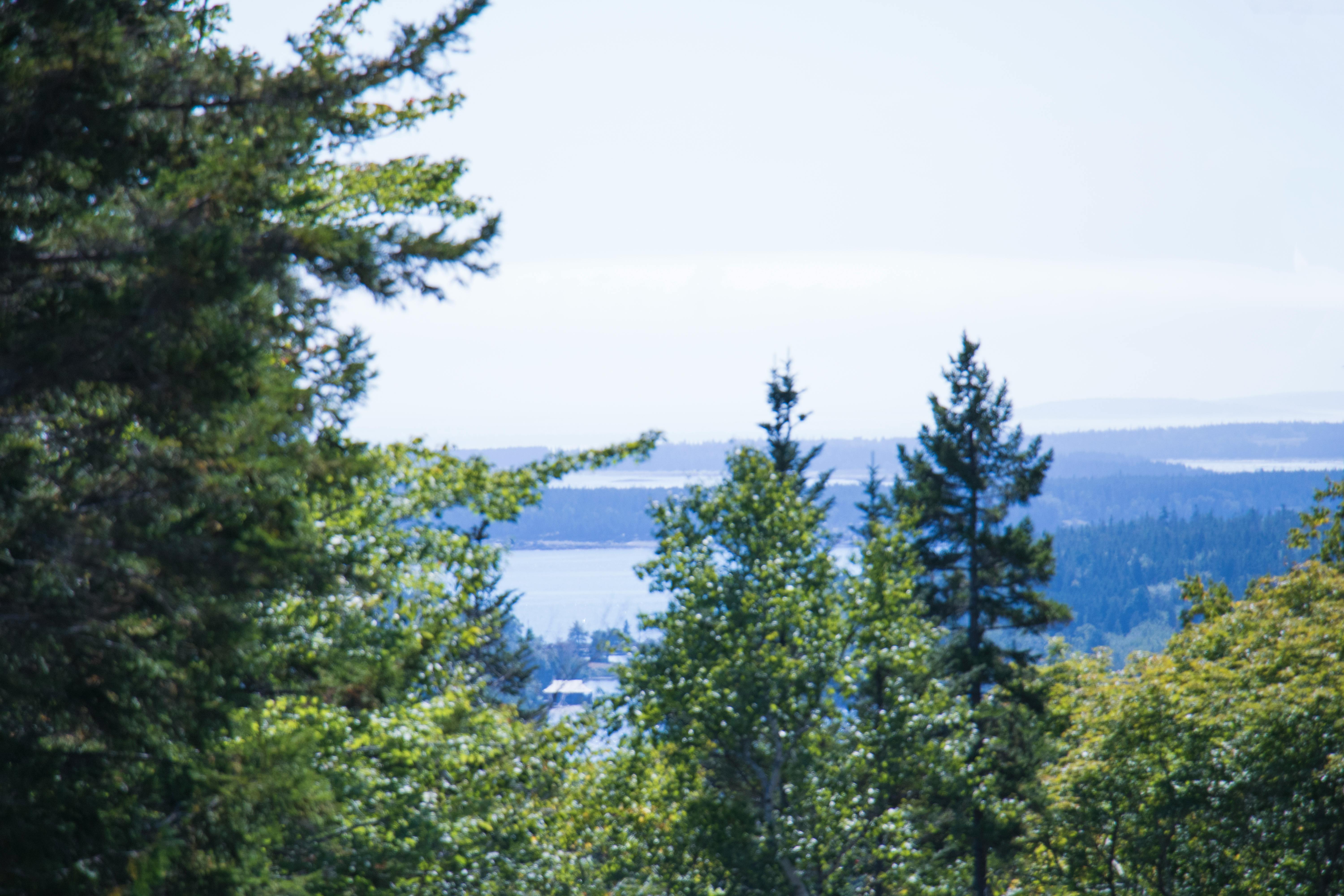 Acadia, Maine 46 Photos & Videos Collected by Aisling Kerr