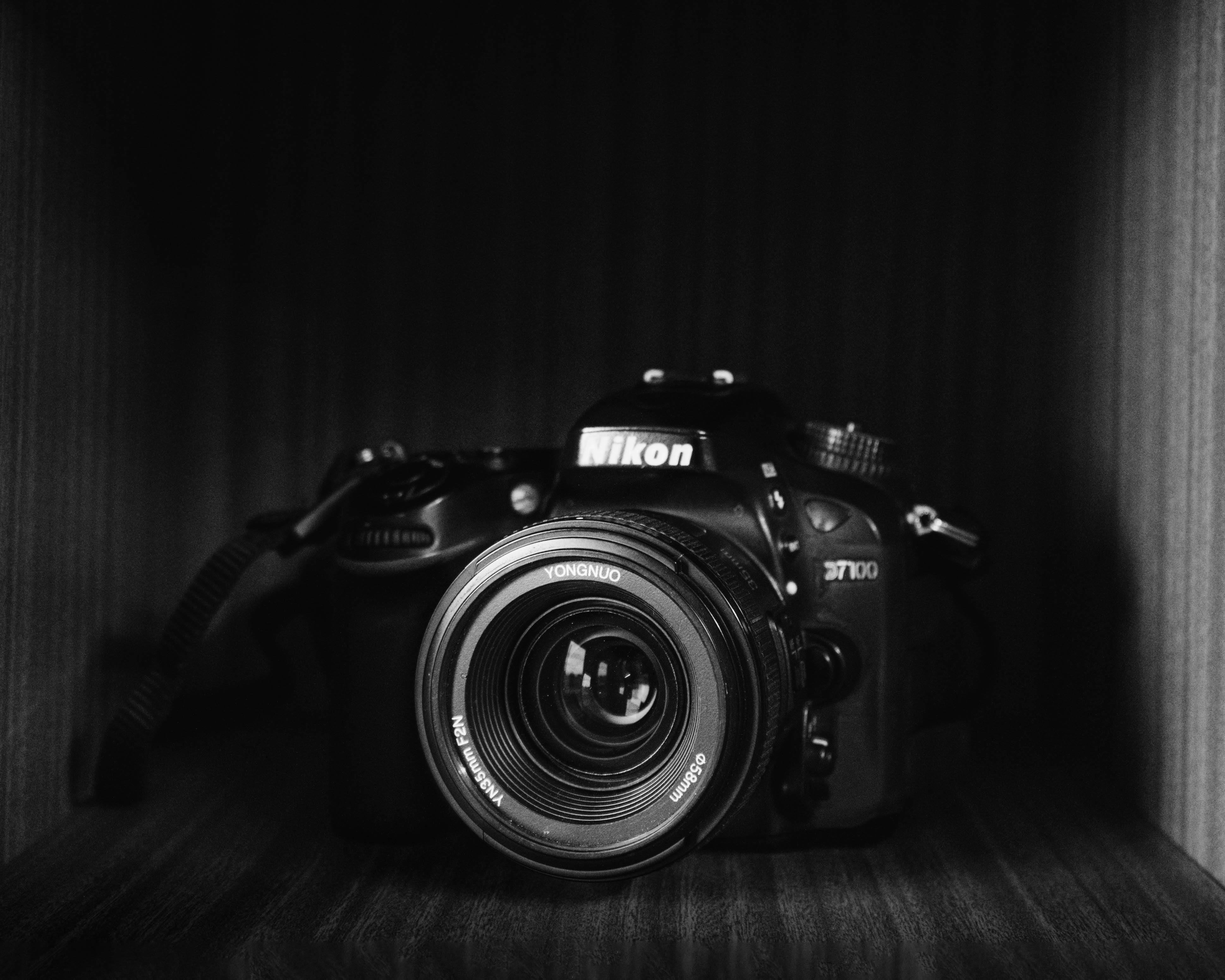 Grayscale Photo of Cameras · Free Stock Photo