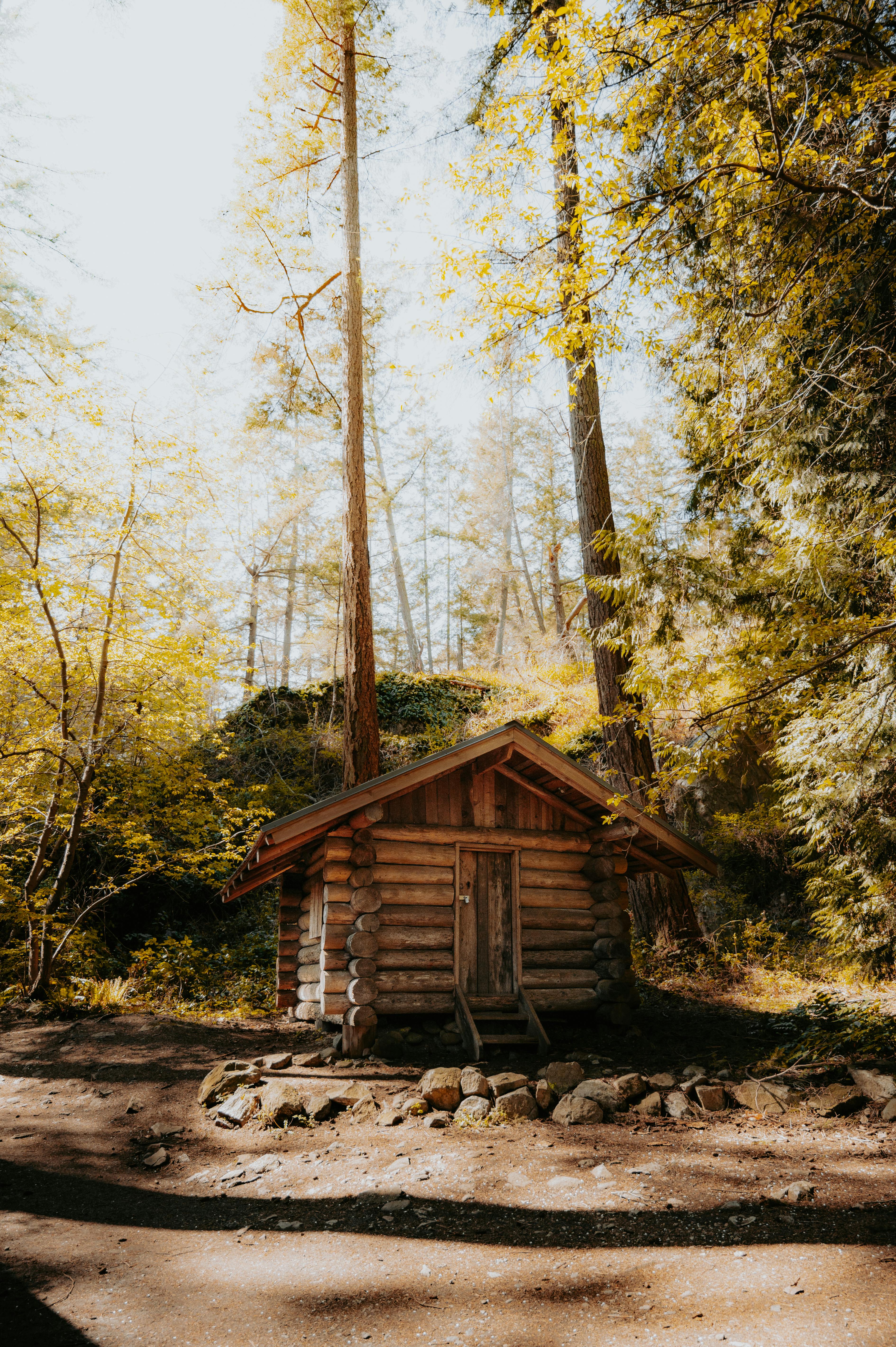 A Cabin in the Woods · Free Stock Photo