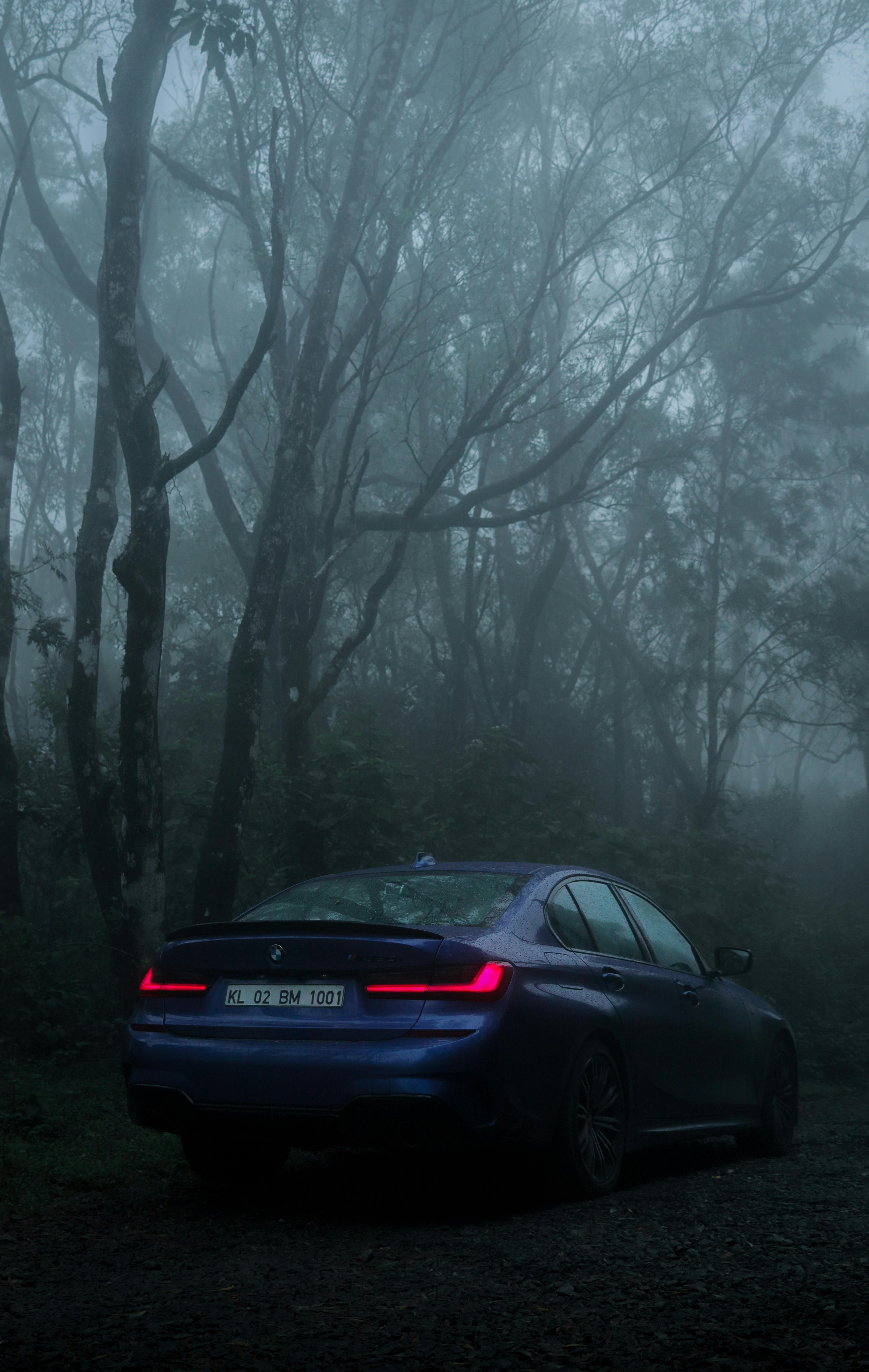 Blue Bmw Car Parked Under the Tall Trees · Free Stock Photo