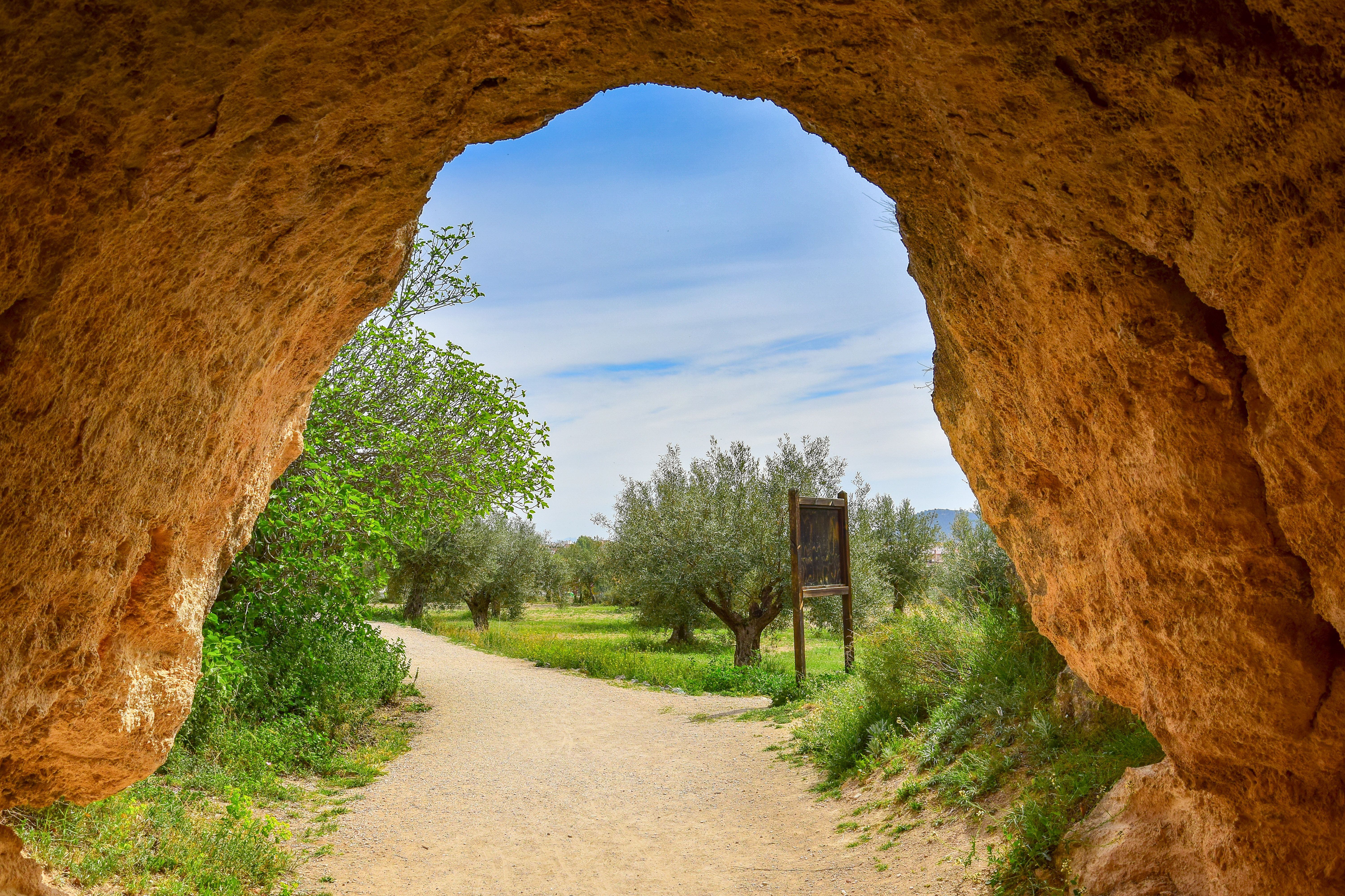 Cave in the Forest · Free Stock Photo