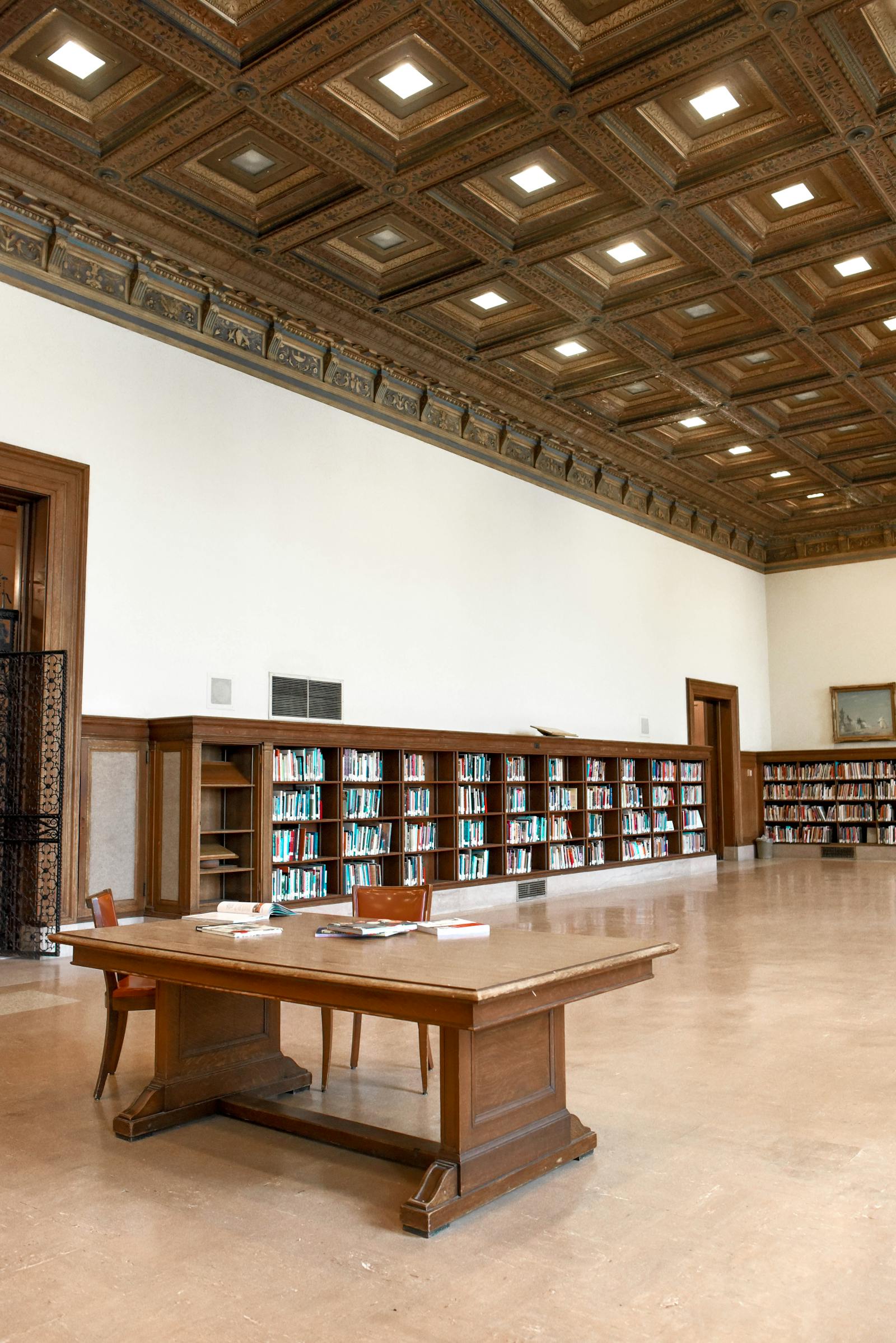 Best Librarian Photos · 100% Free Download · Pexels Stock Photos