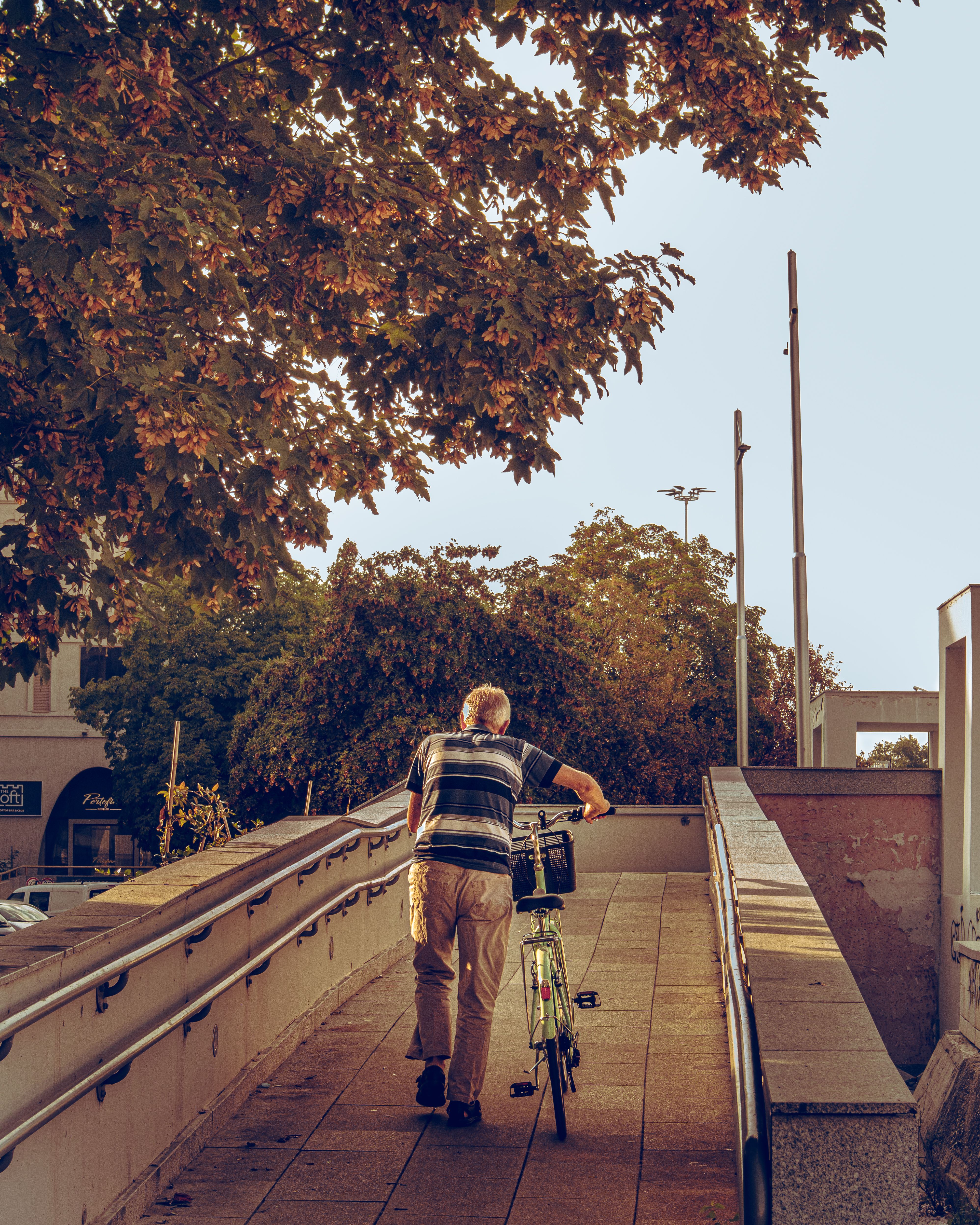 Man Pushing Bicycle in City · Free Stock Photo