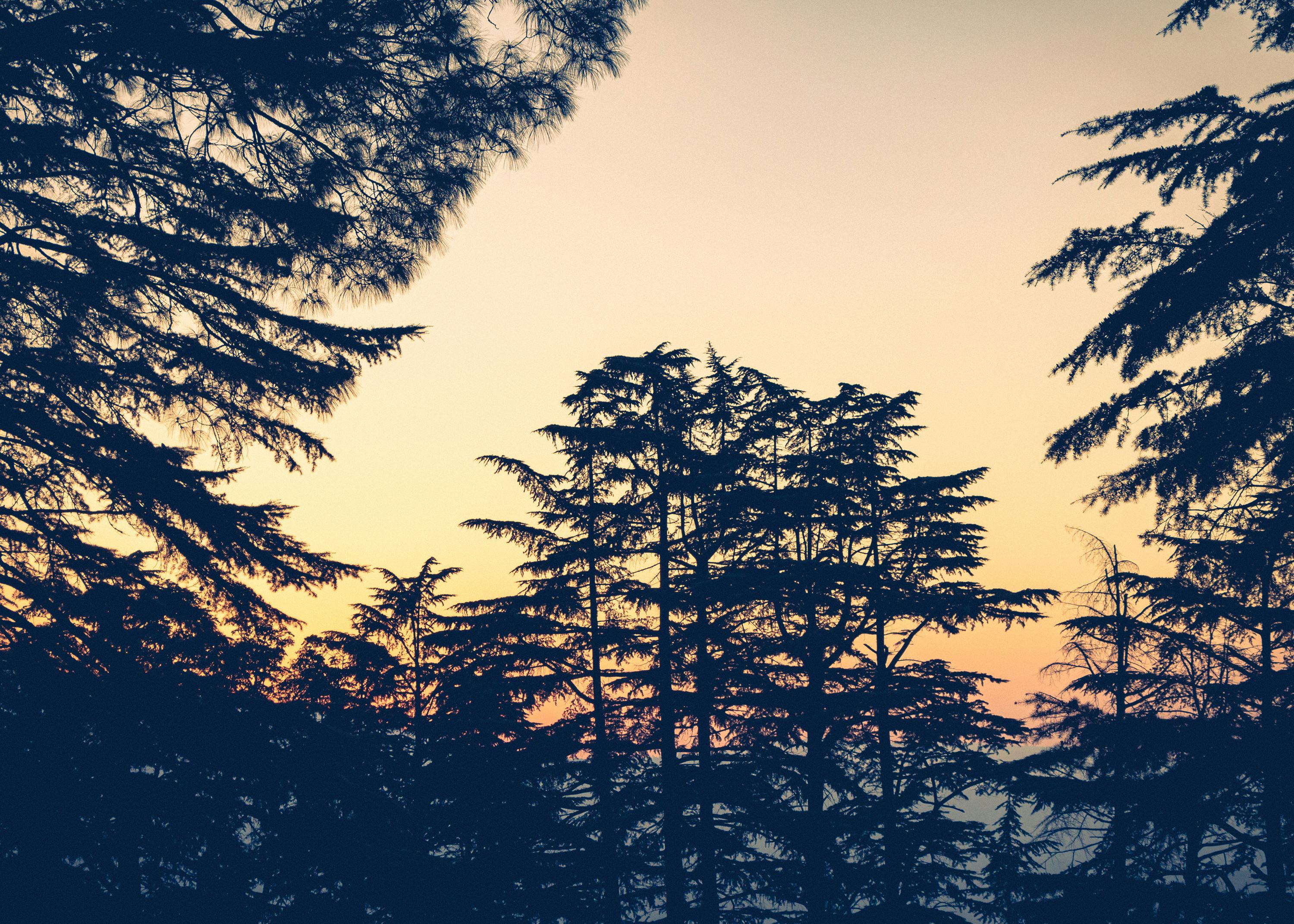 Auris Studio - 사진