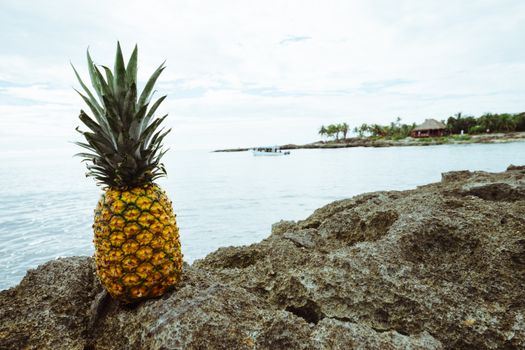 Pineapple in the Middle of the Seashore · Free Stock Photo
