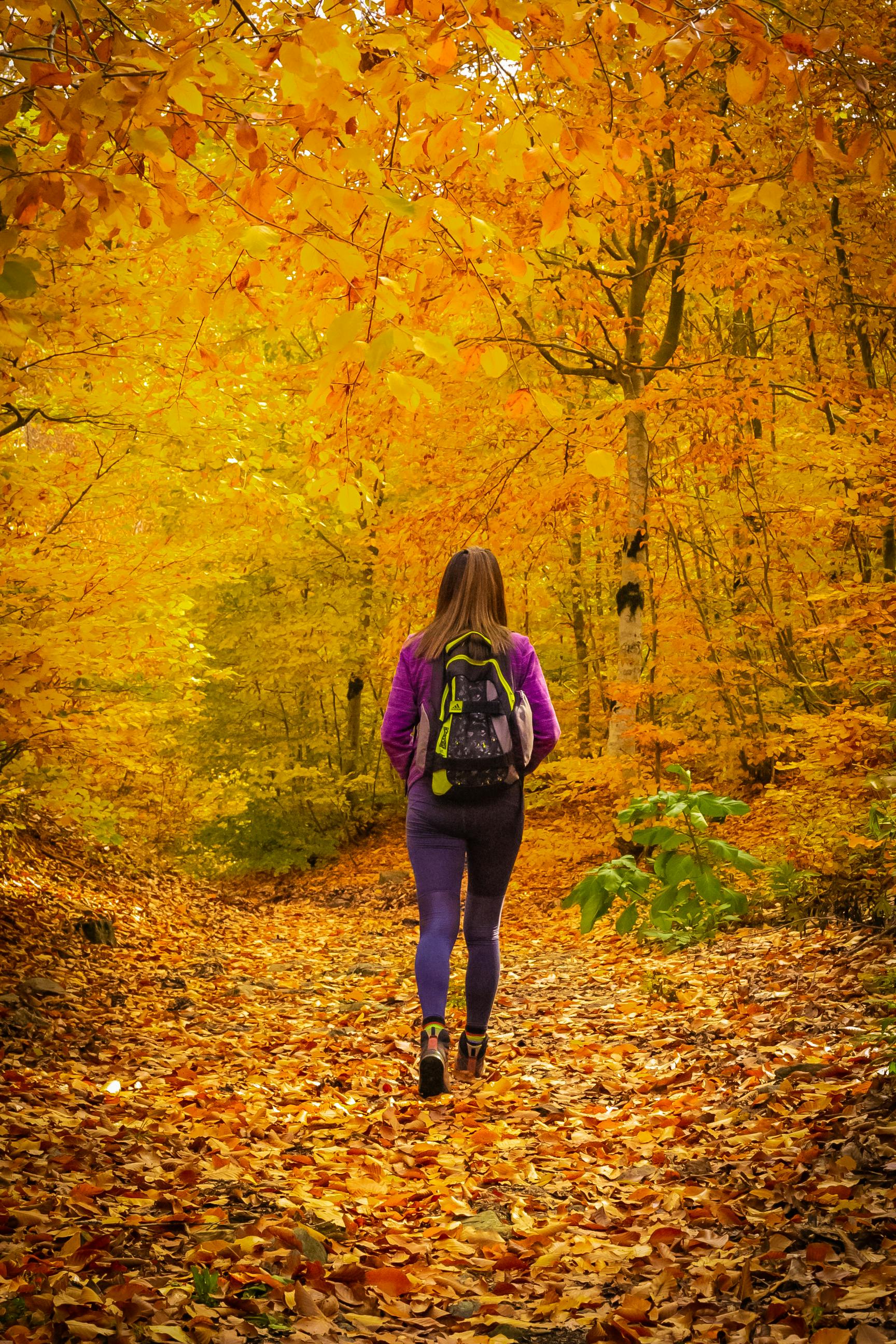 A Woman Hiking During Autumn · Free Stock Photo