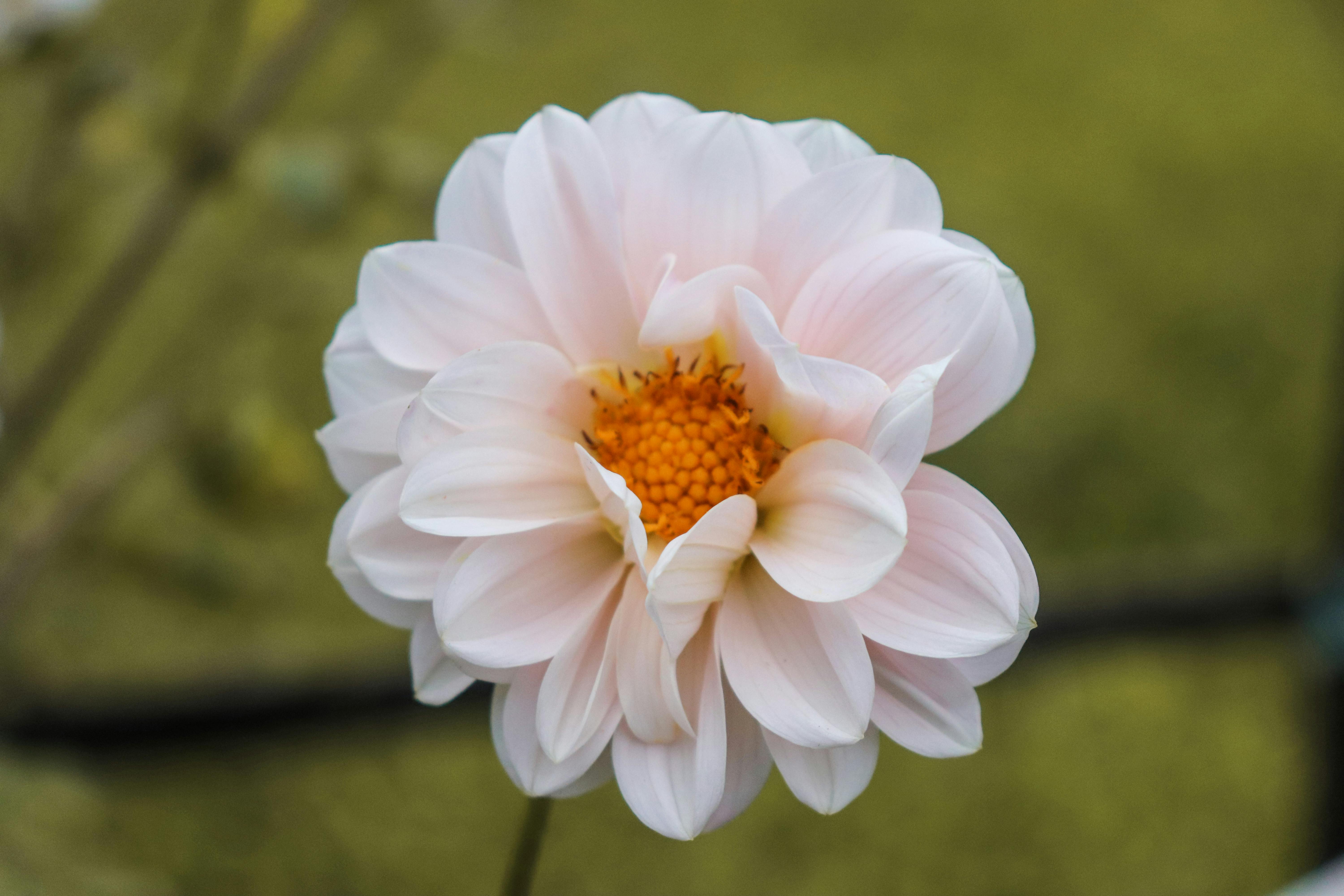 The Beauty Of Baguio City 29 foto e video raccolti da Harvey Tan Villarino