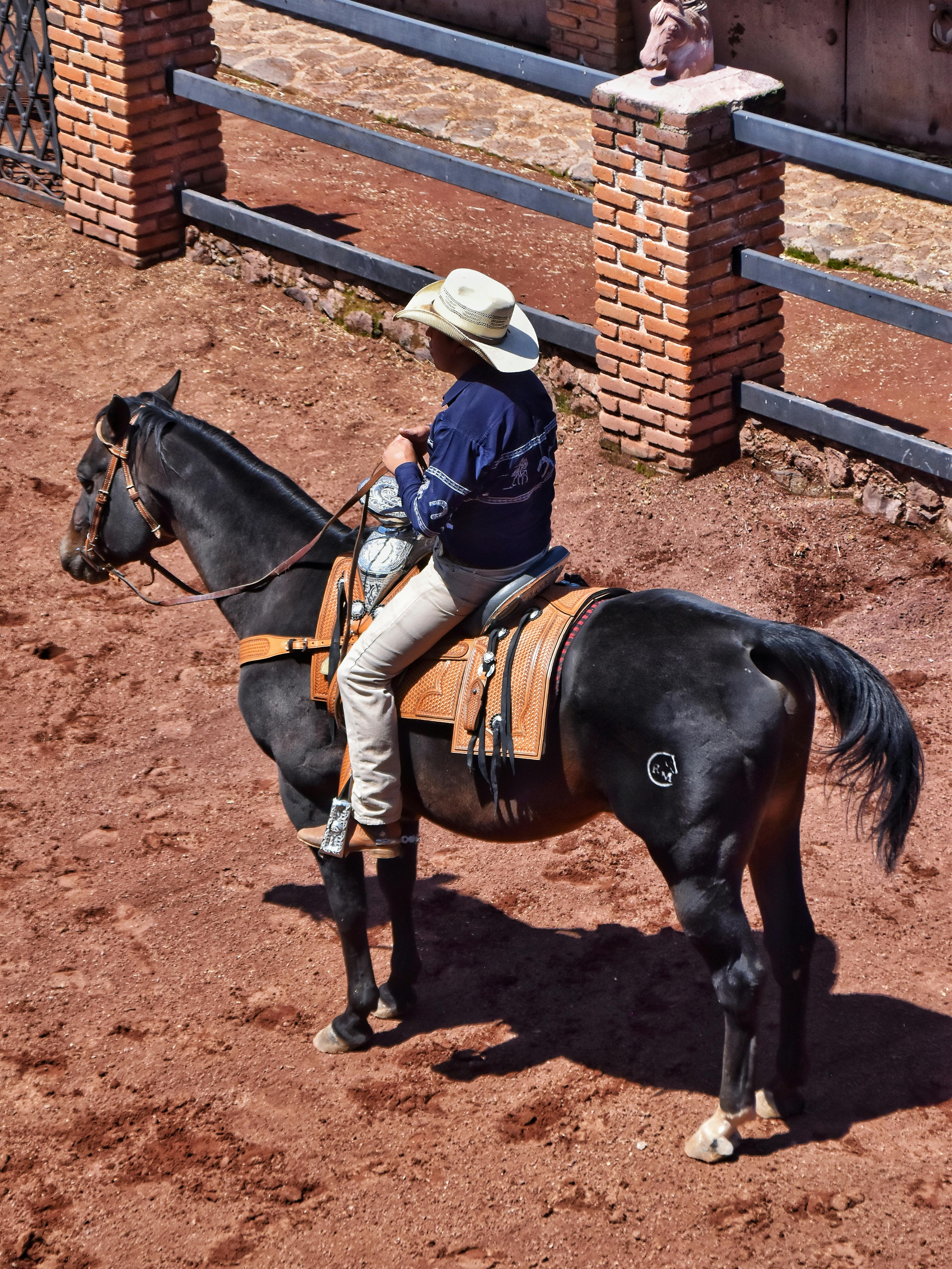 Man in White Cowboy Hat Riding a Black Horse · Free Stock Photo
