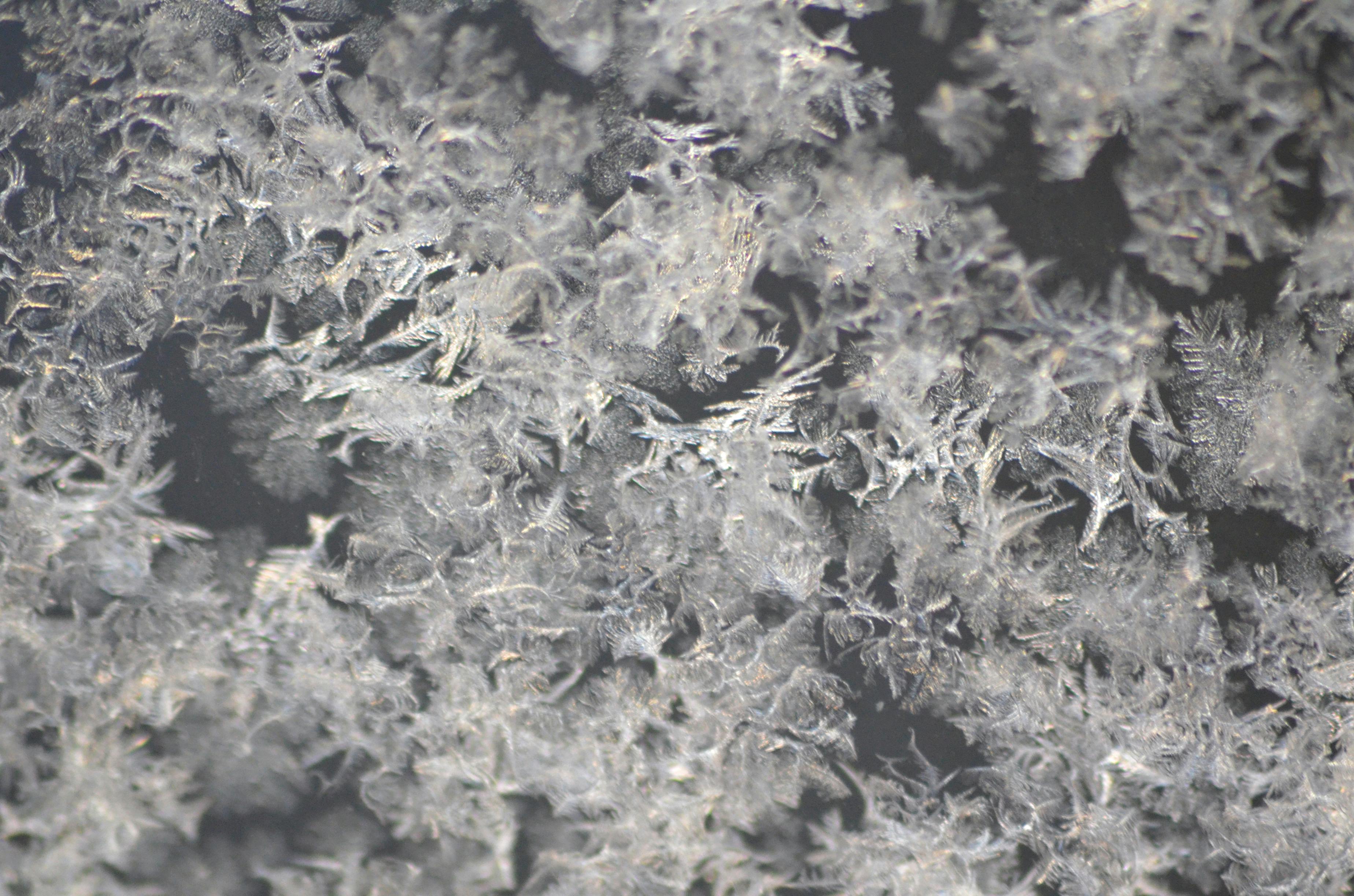 Ice Frost Texture · Free Stock Photo