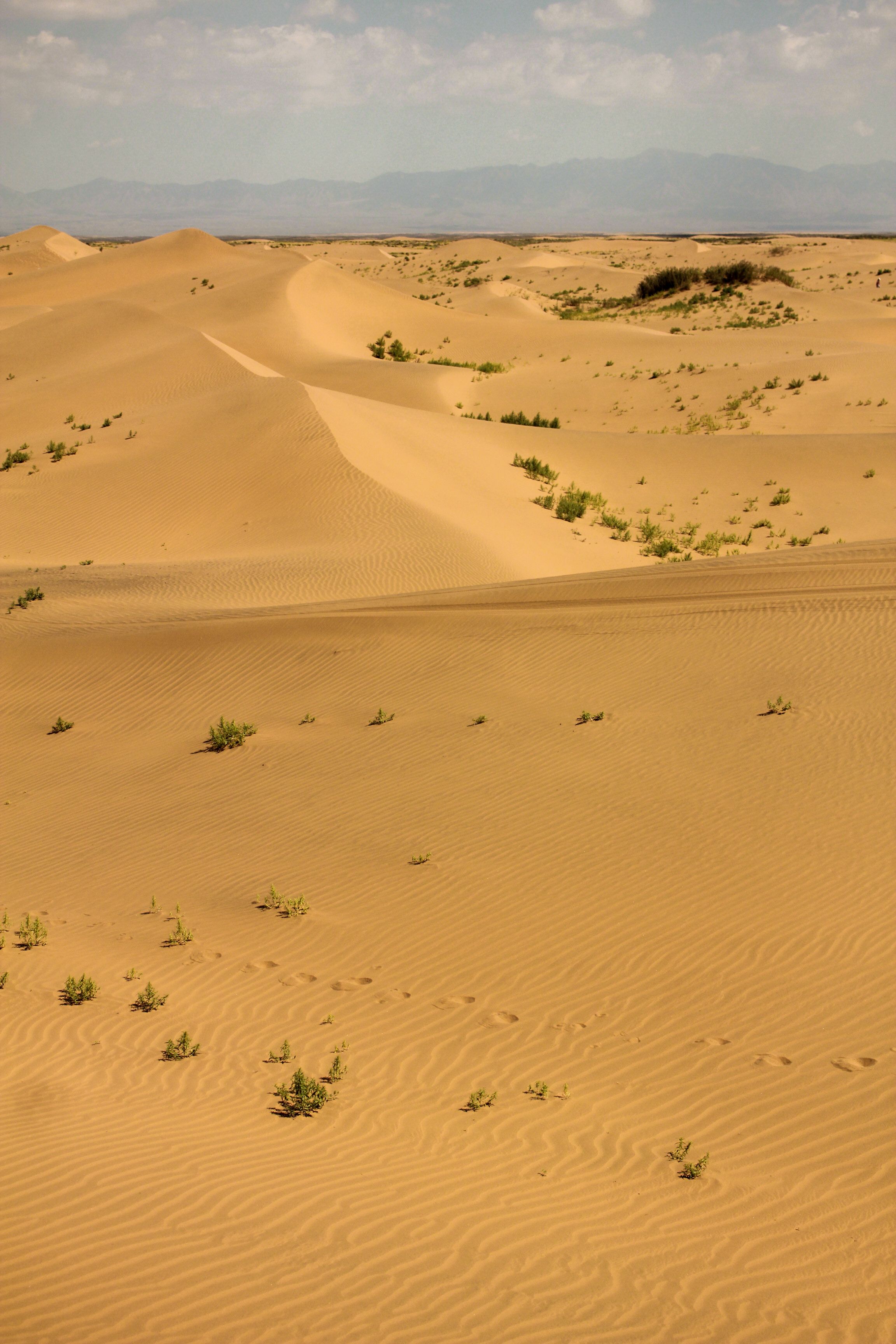 Photo of a Desert · Free Stock Photo