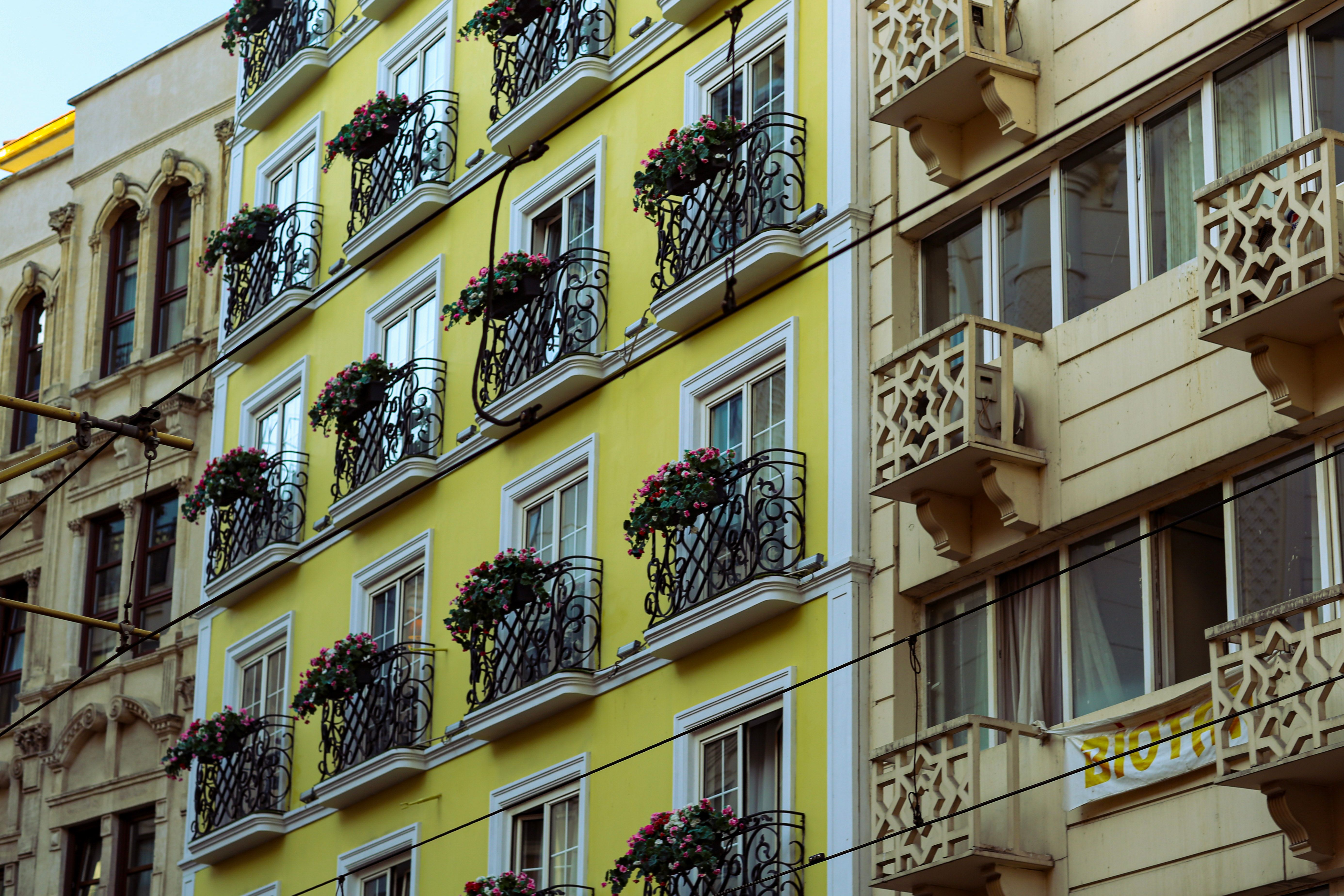 Red Roses Decorated on Balconies of a Building · Free Stock Photo