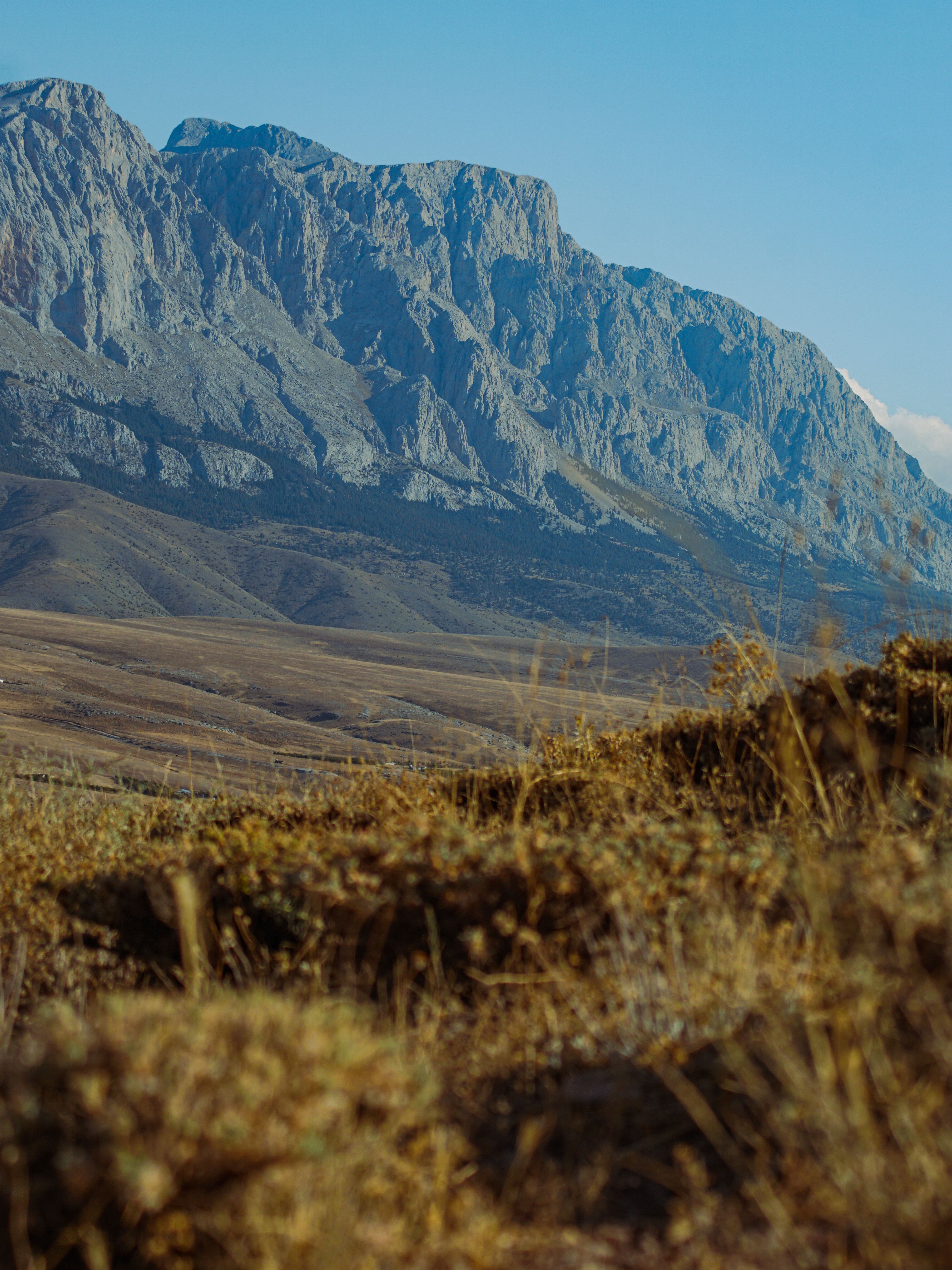 Brown Grass Field Near Mountain · Free Stock Photo