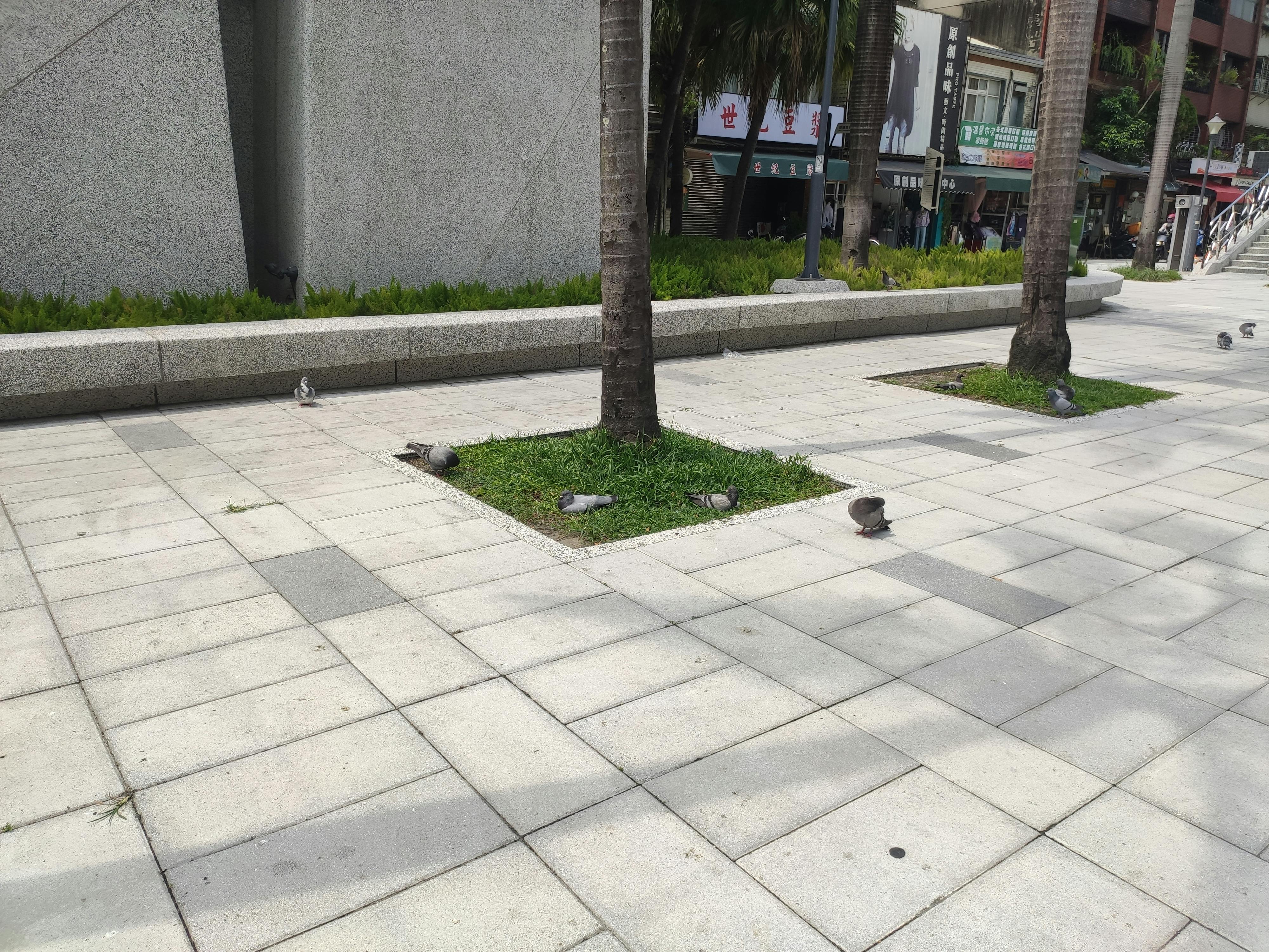 COCO WU - Fotografía