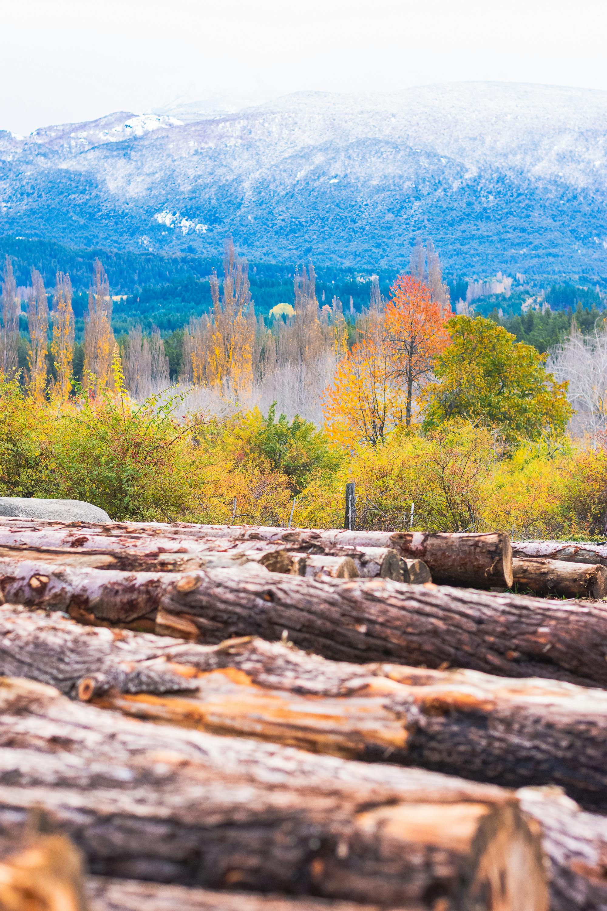 Nature Environment Photos, Download The BEST Free Nature Environment ...