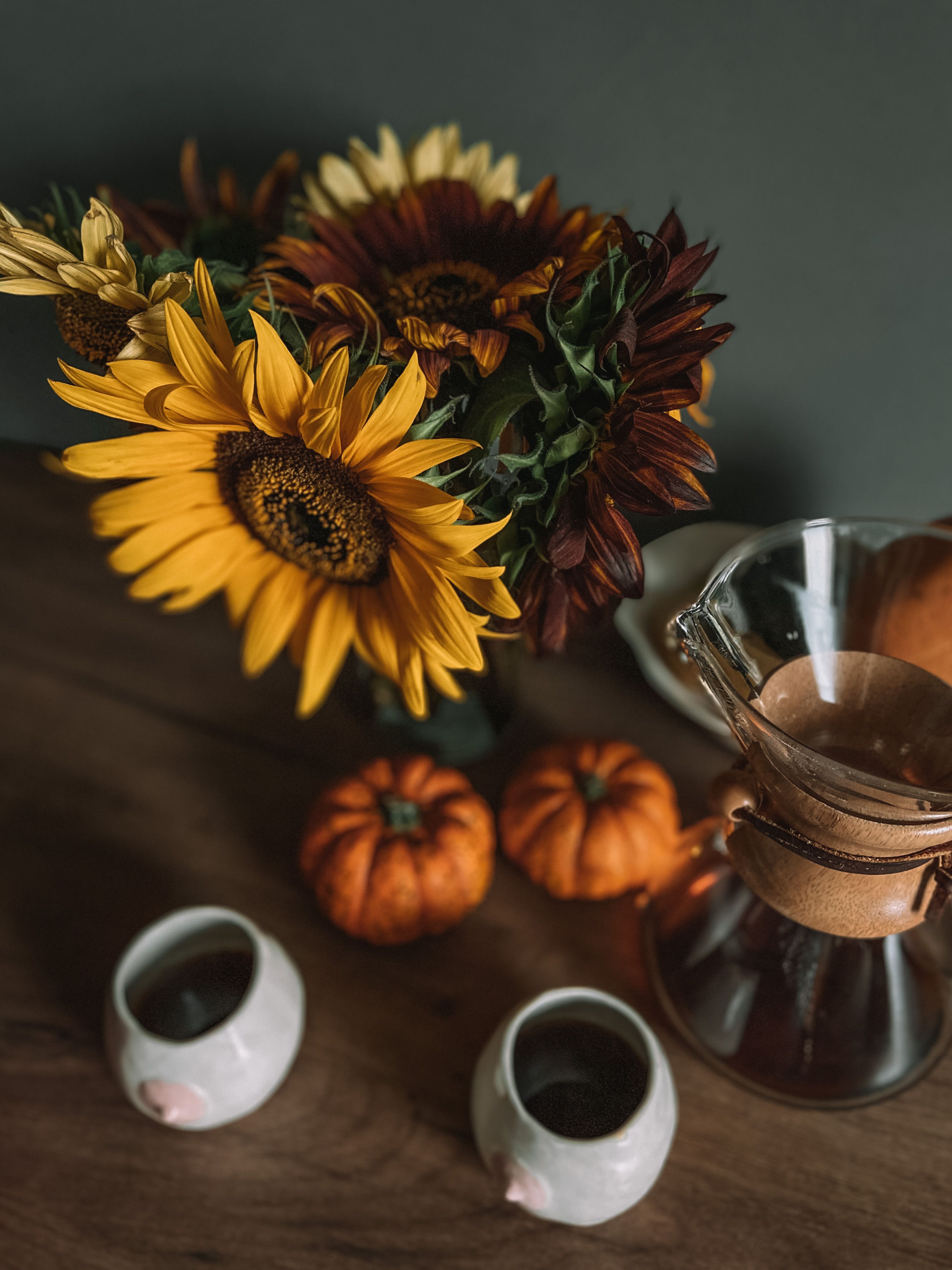 Coffee And Sunflowers Photos, Download The BEST Free Coffee And ...