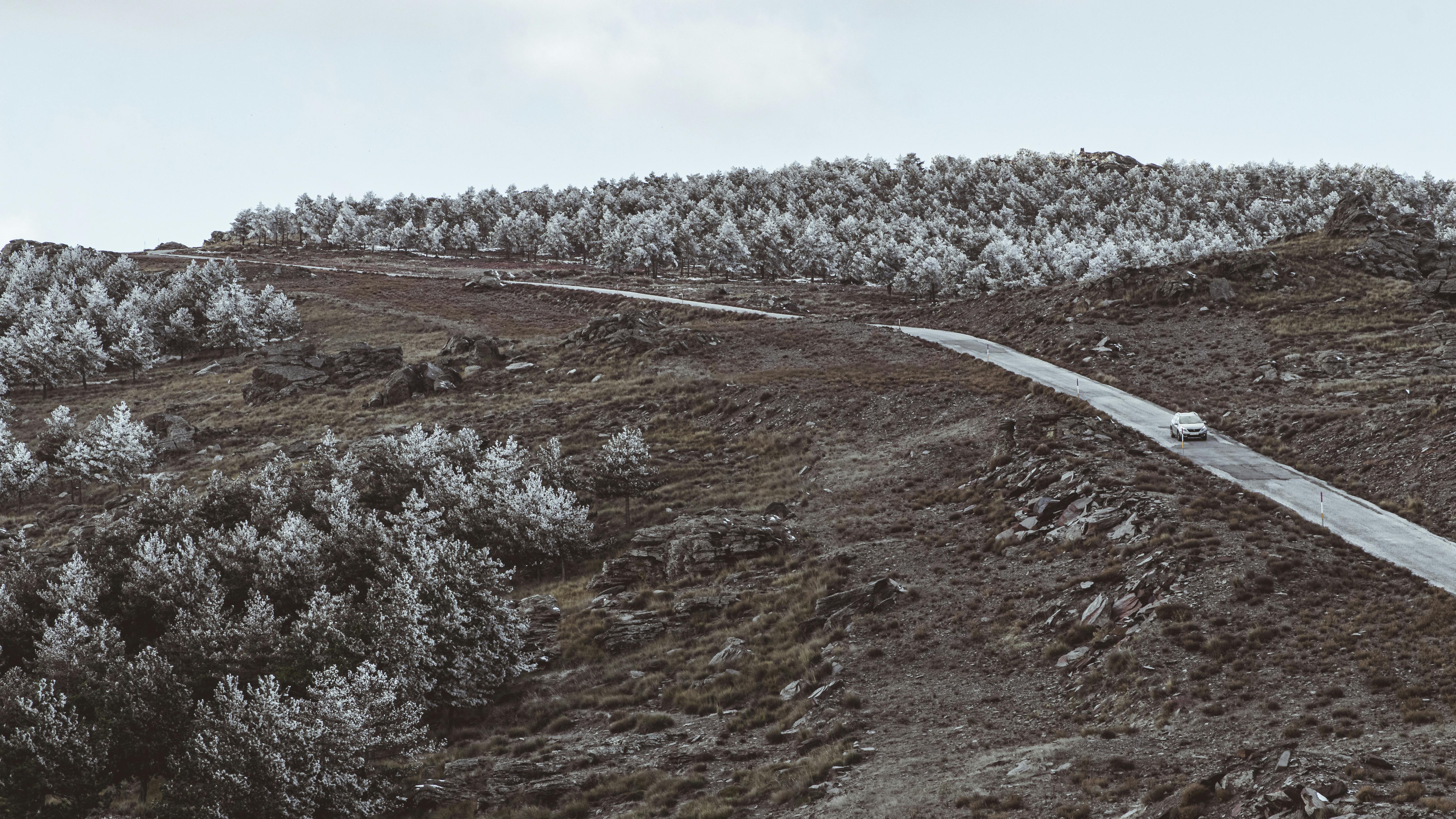 Car Driving along a Remote Road in Winter · Free Stock Photo