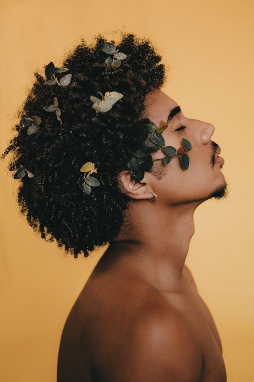 Afro · Photo gratuite