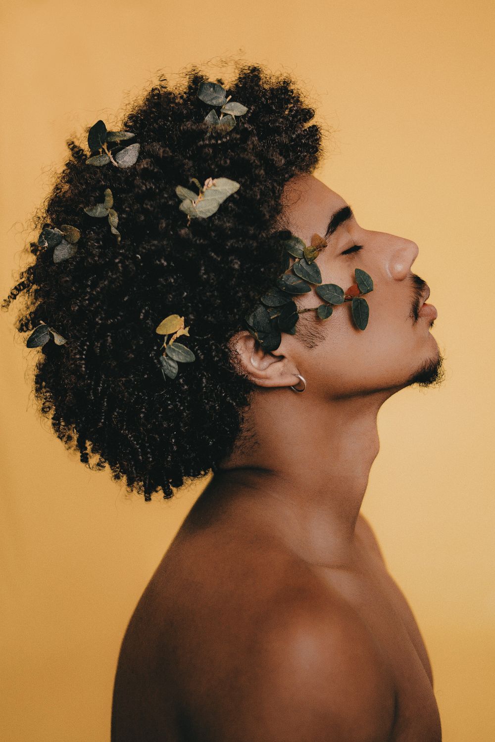 Afro · Photo gratuite