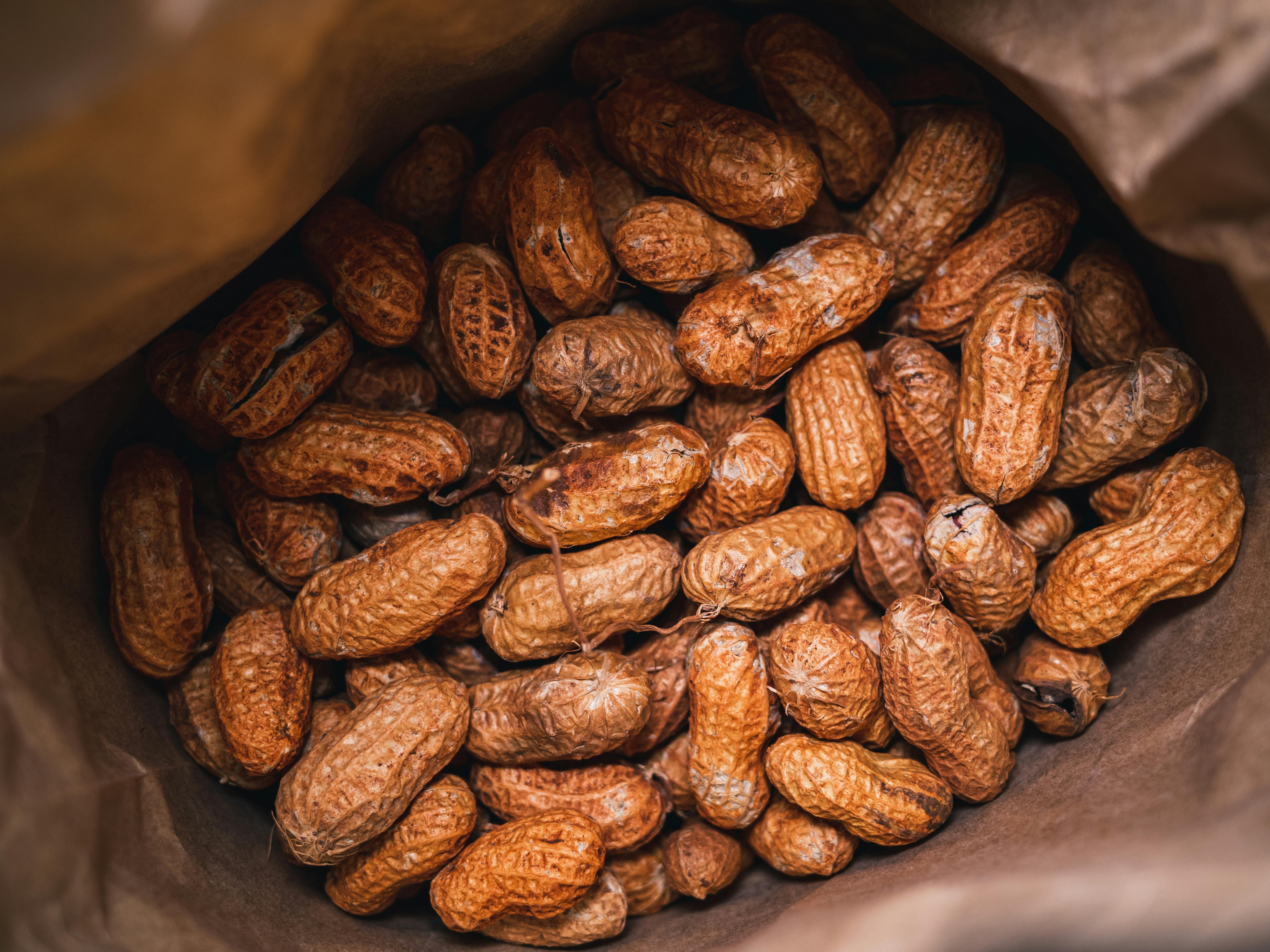 Close-Up Photo of Brown Peanuts · Free Stock Photo