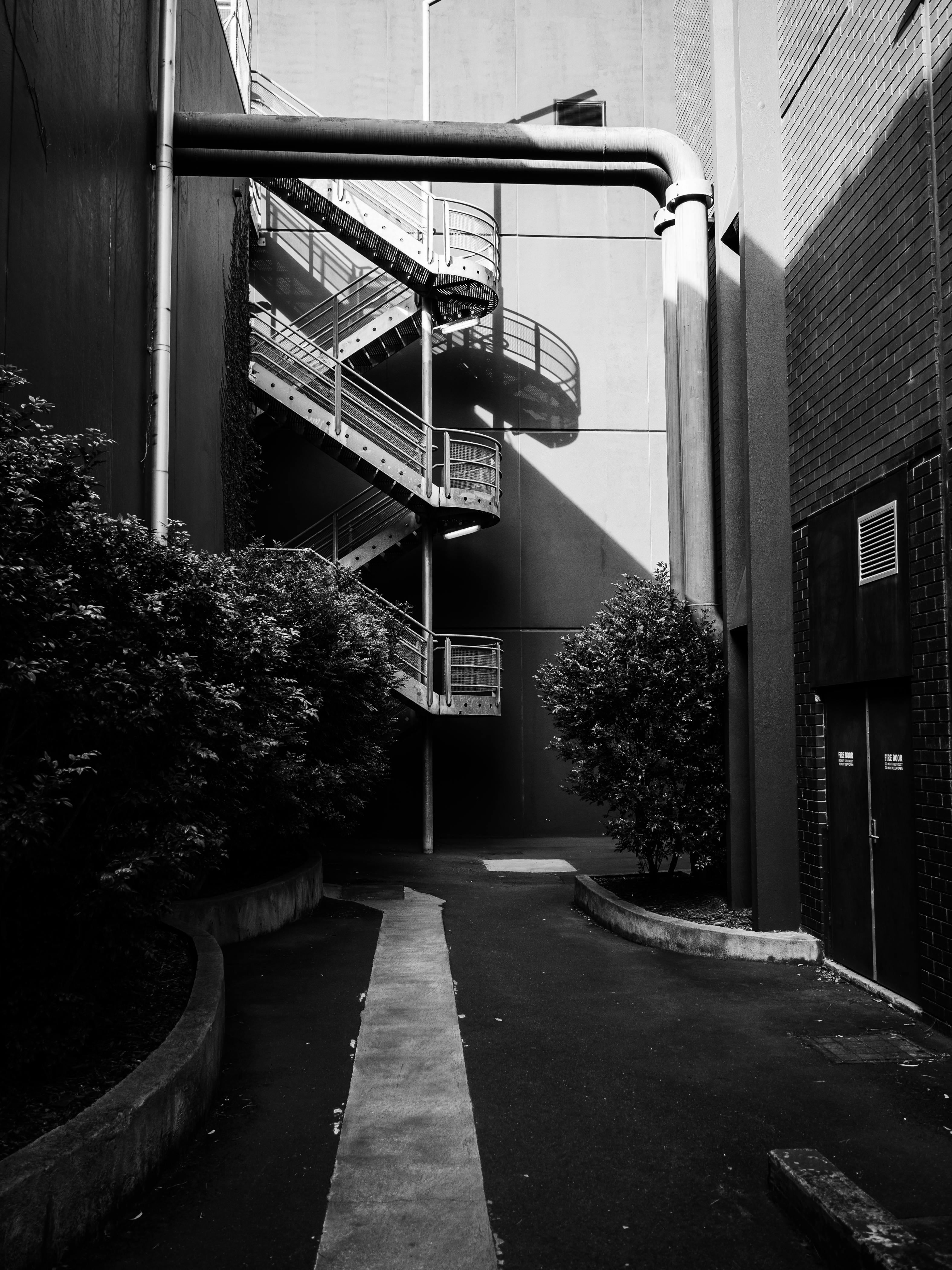 Black and White Picture of an Alley between Buildings in City · Free ...