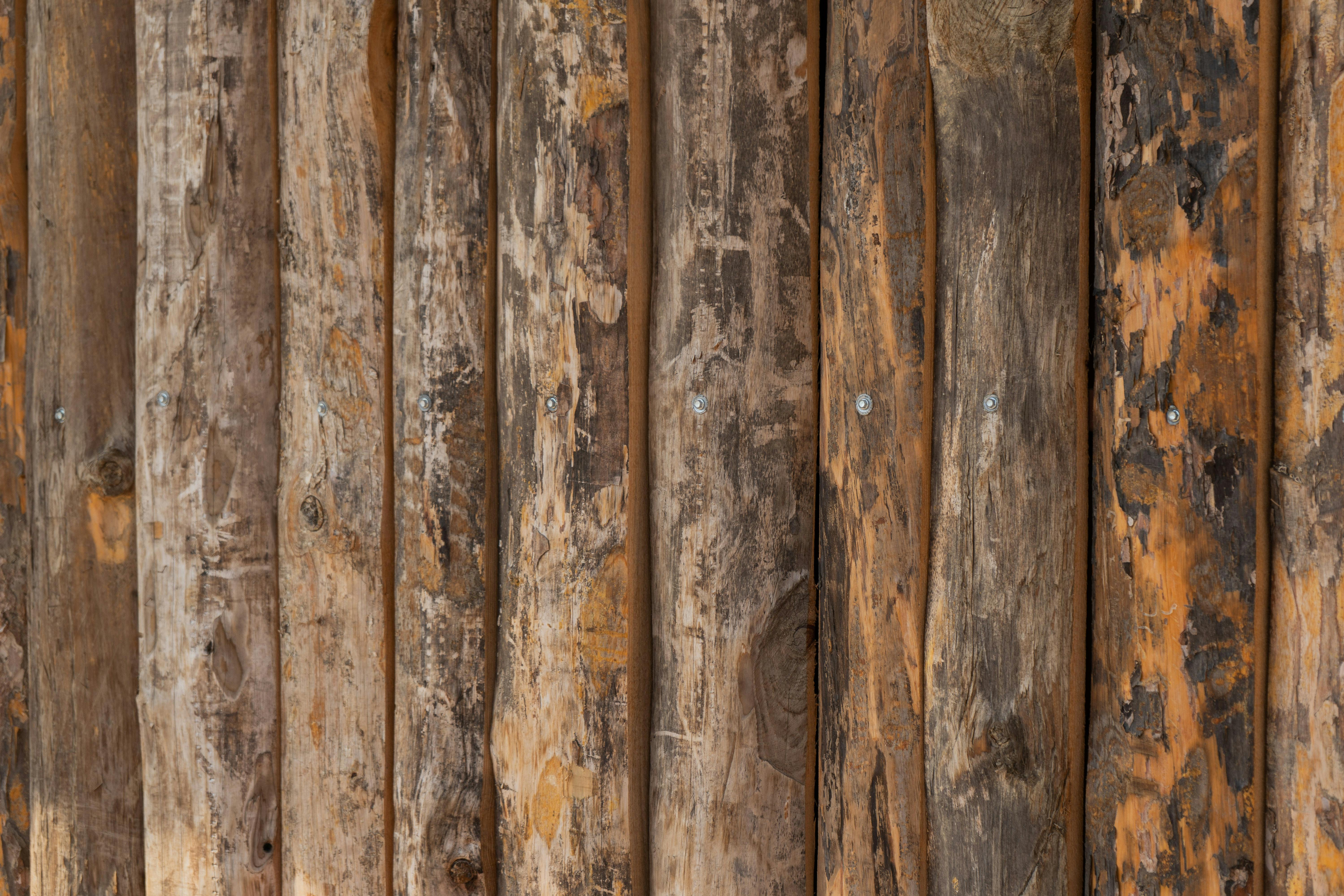 Photo of Wooden Wall · Free Stock Photo
