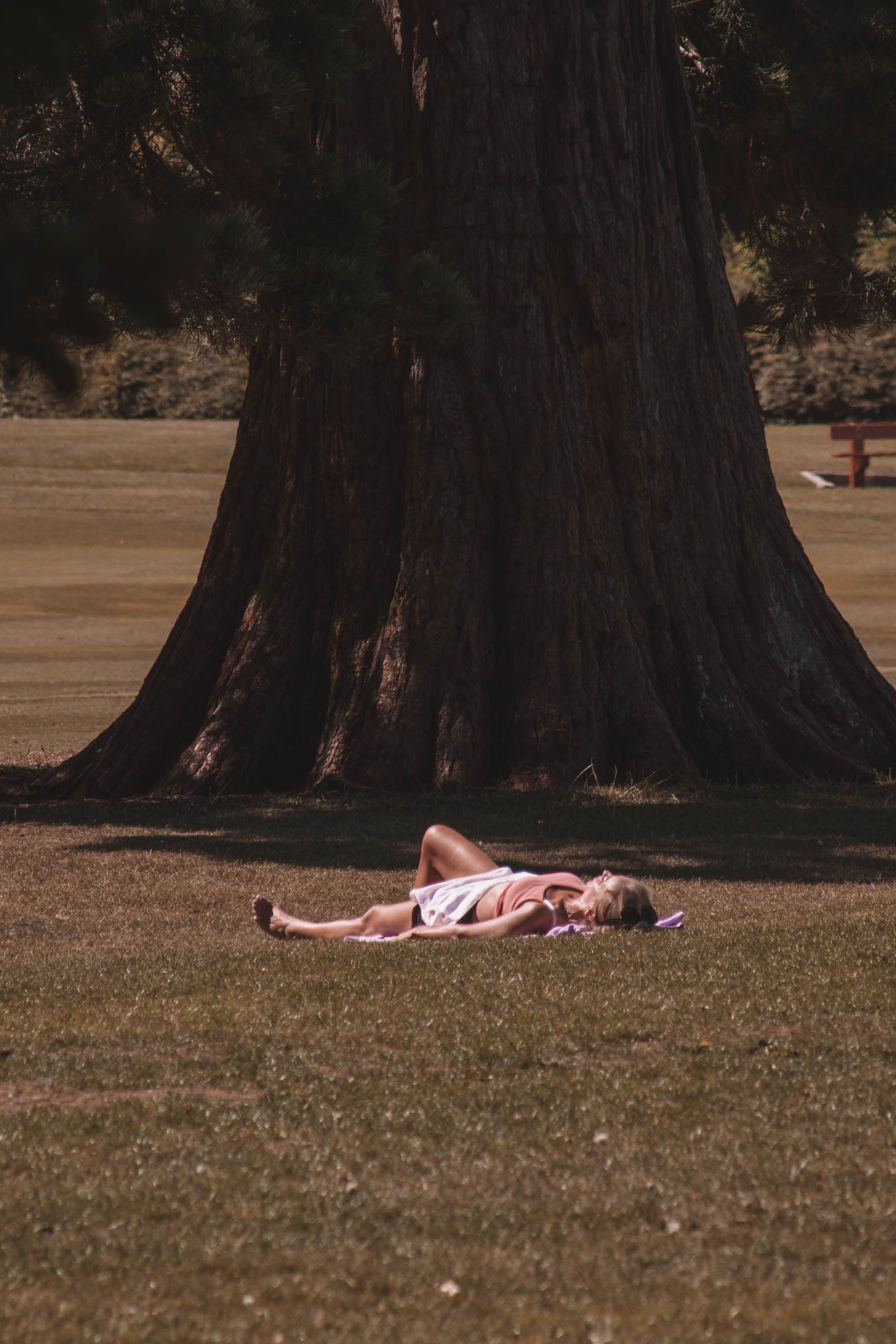 A Woman Lying on Ground Under Tree · Free Stock Photo