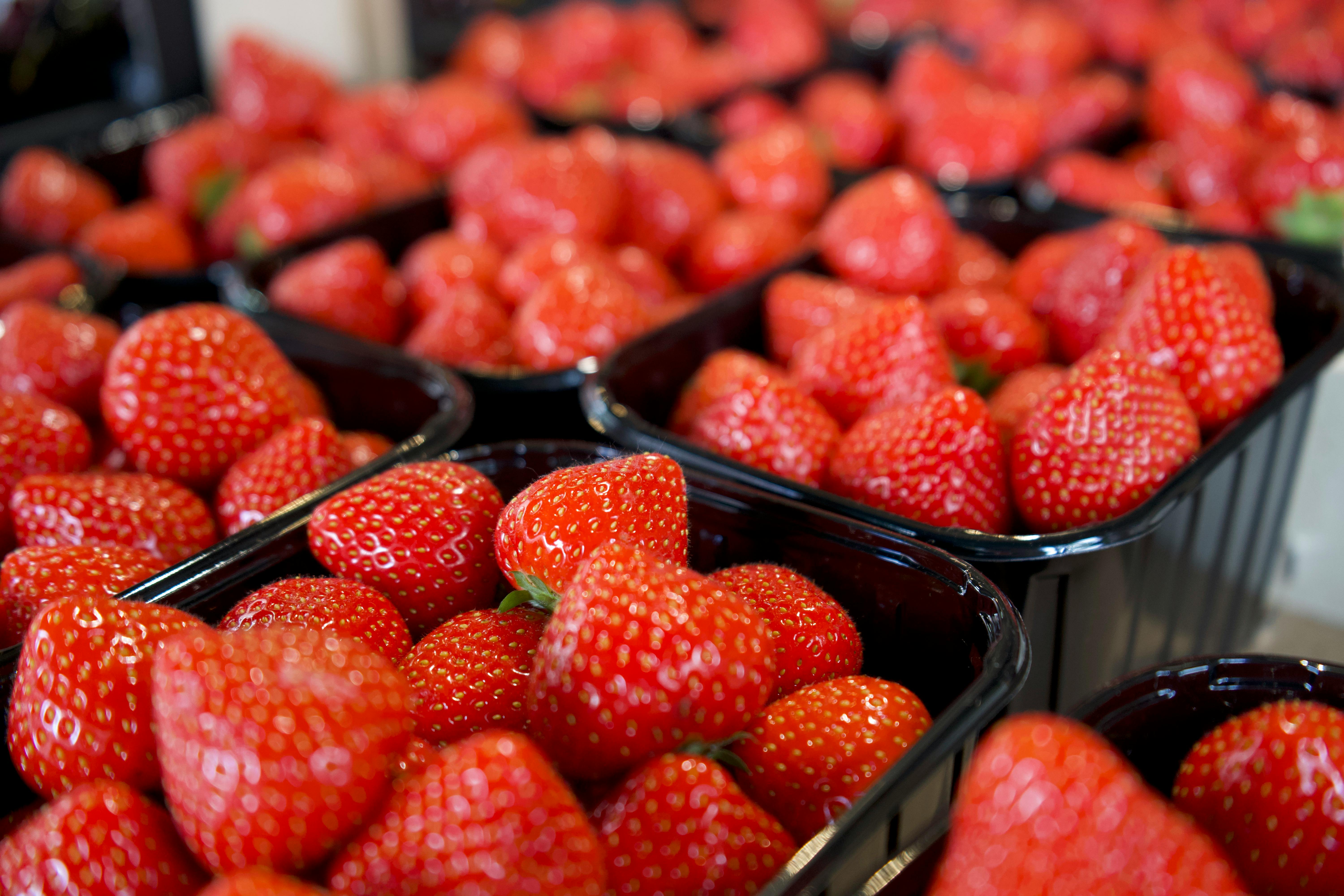 Close Up Shot of Strawberries · Free Stock Photo