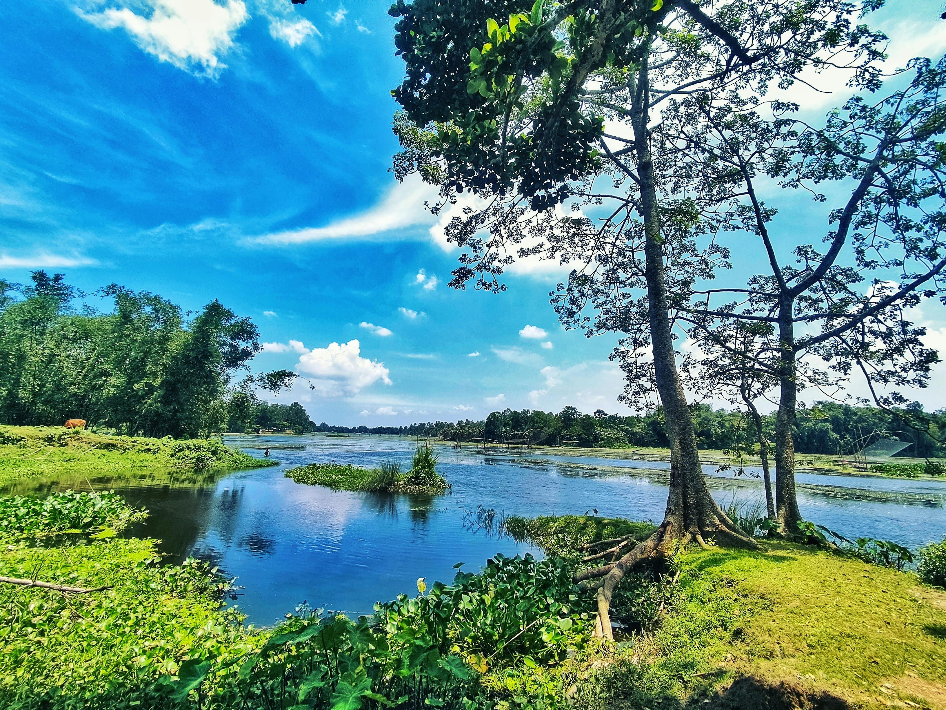 Taj uddin Ahmed - Photography