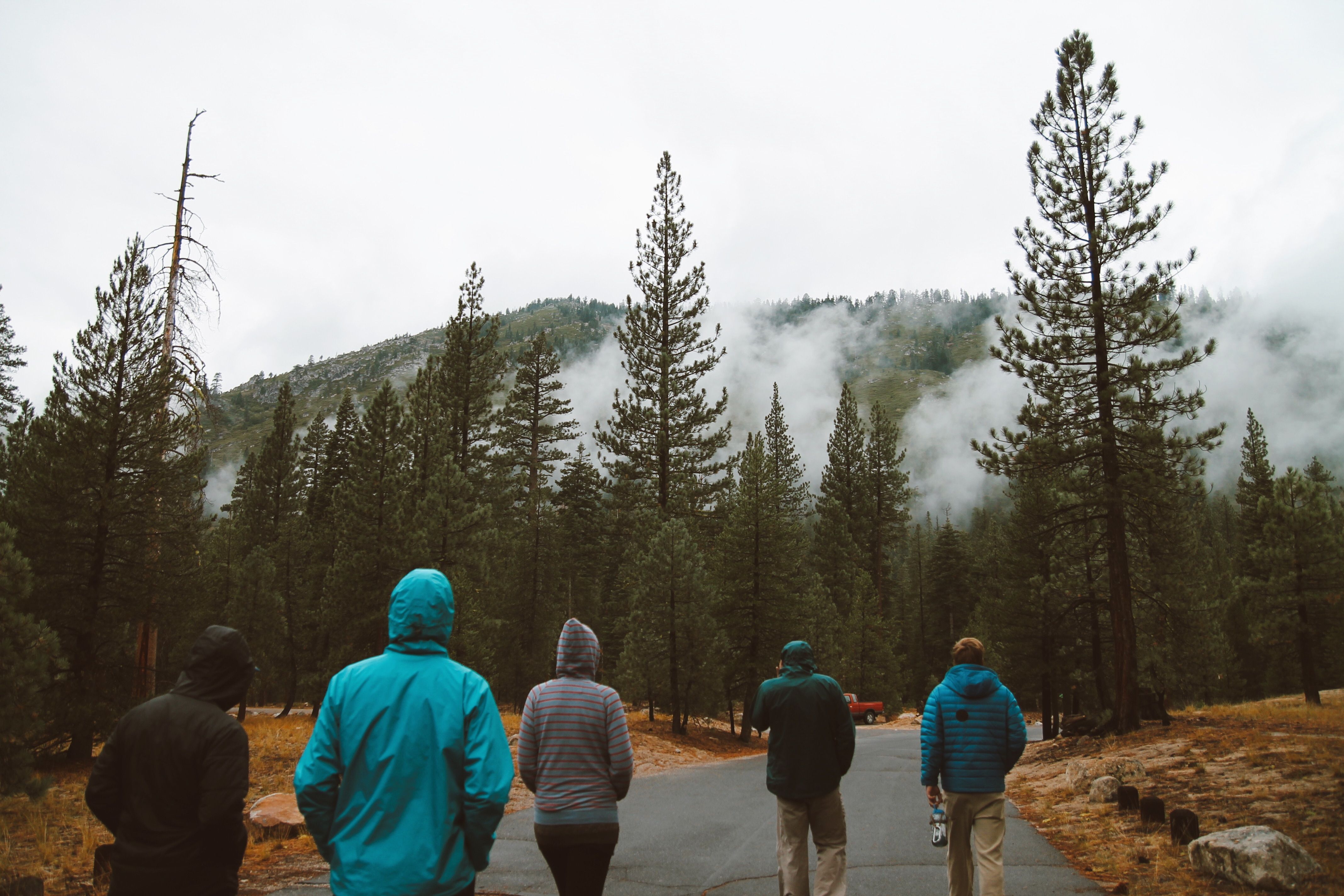 People Walking on the Road · Free Stock Photo