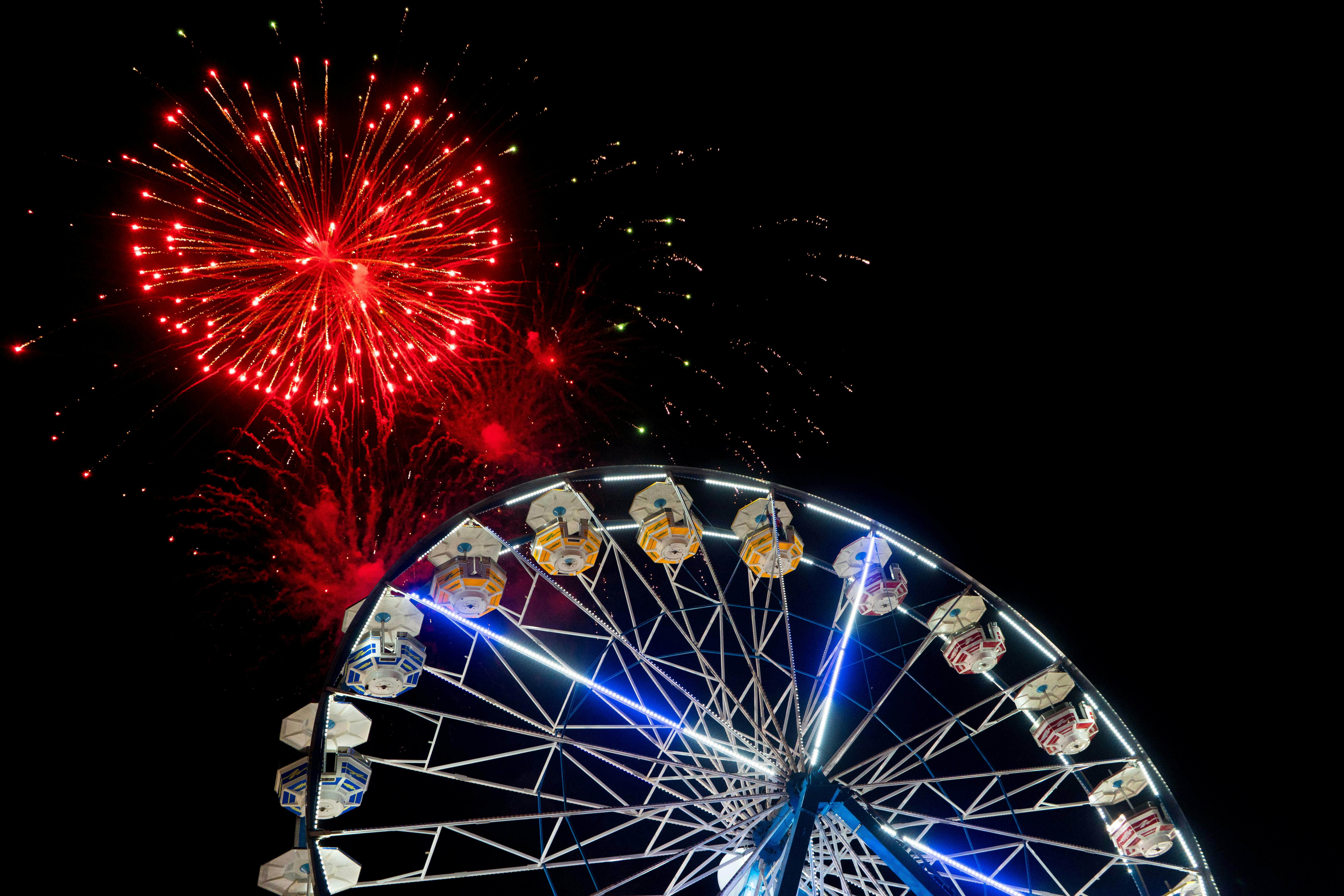 Fireworks at Night · Free Stock Photo
