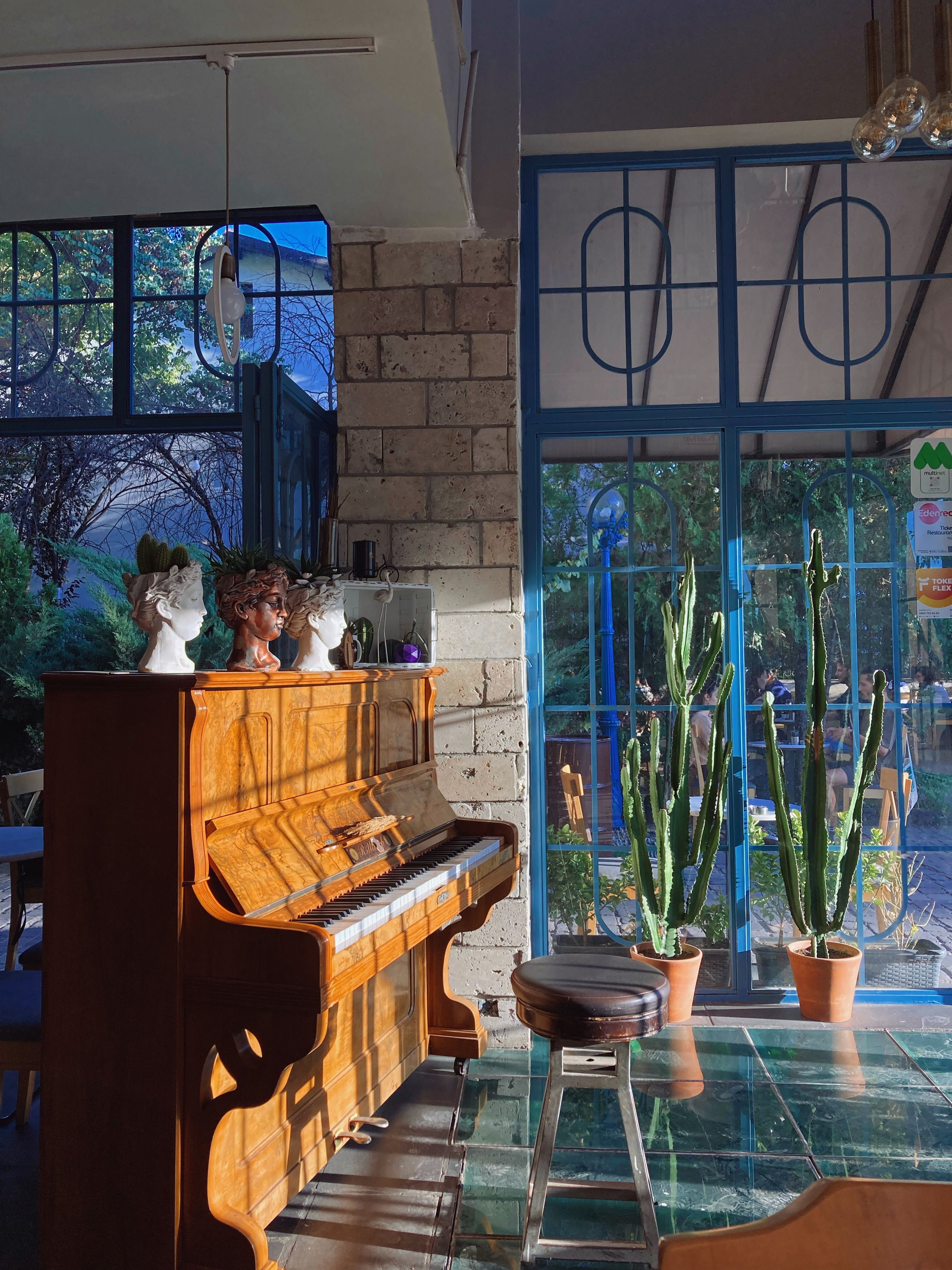 A Piano Near Cactus Plants · Free Stock Photo