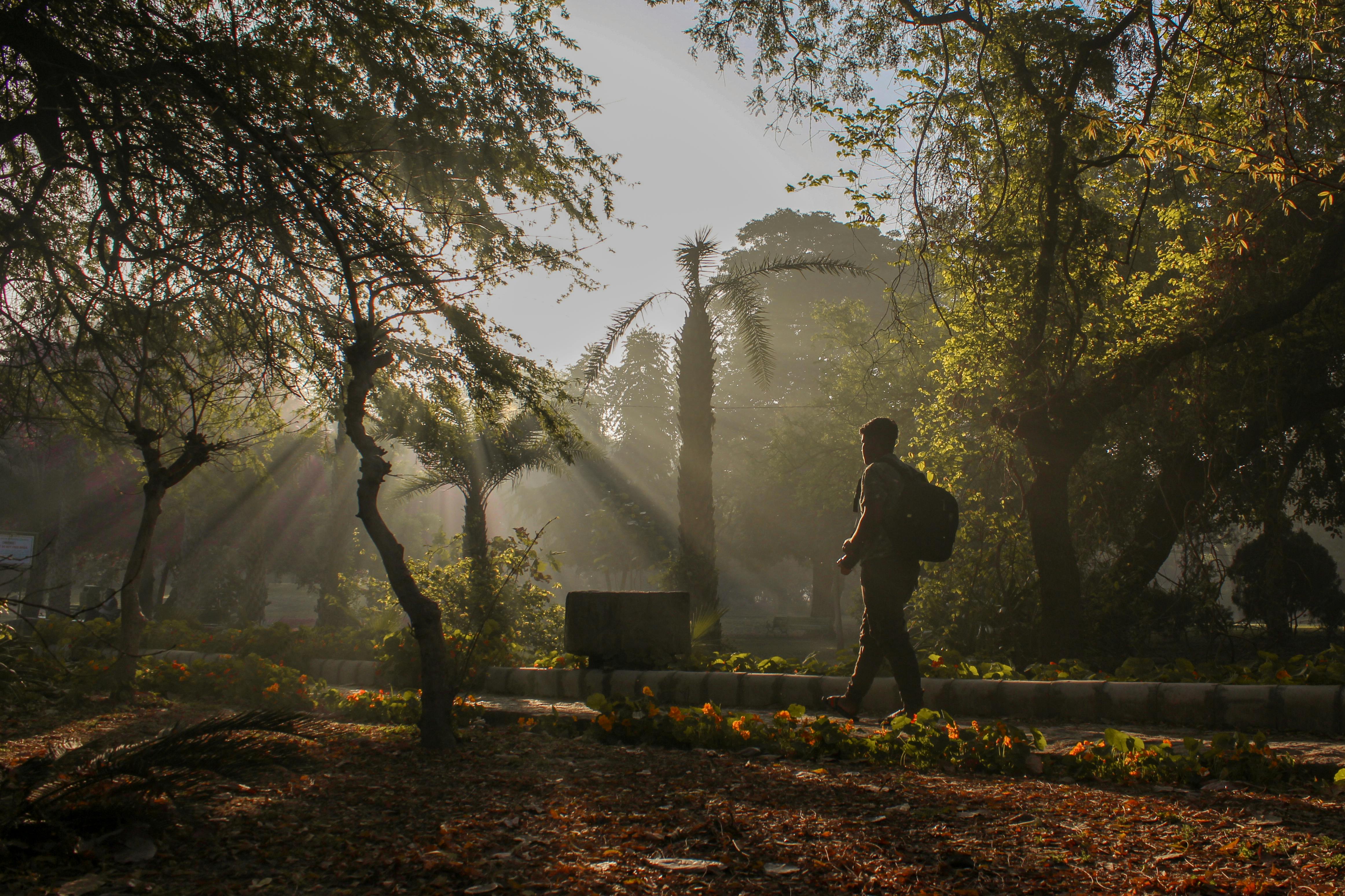 Two People Standing Between Trees · Free Stock Photo